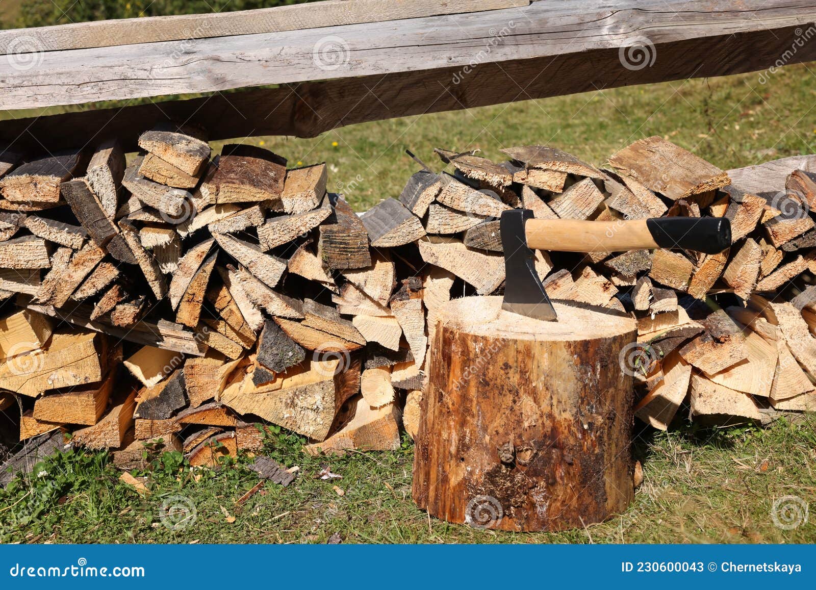 Tree Stump with Axe and Cut Firewood Outdoors Stock Image - Image of ...