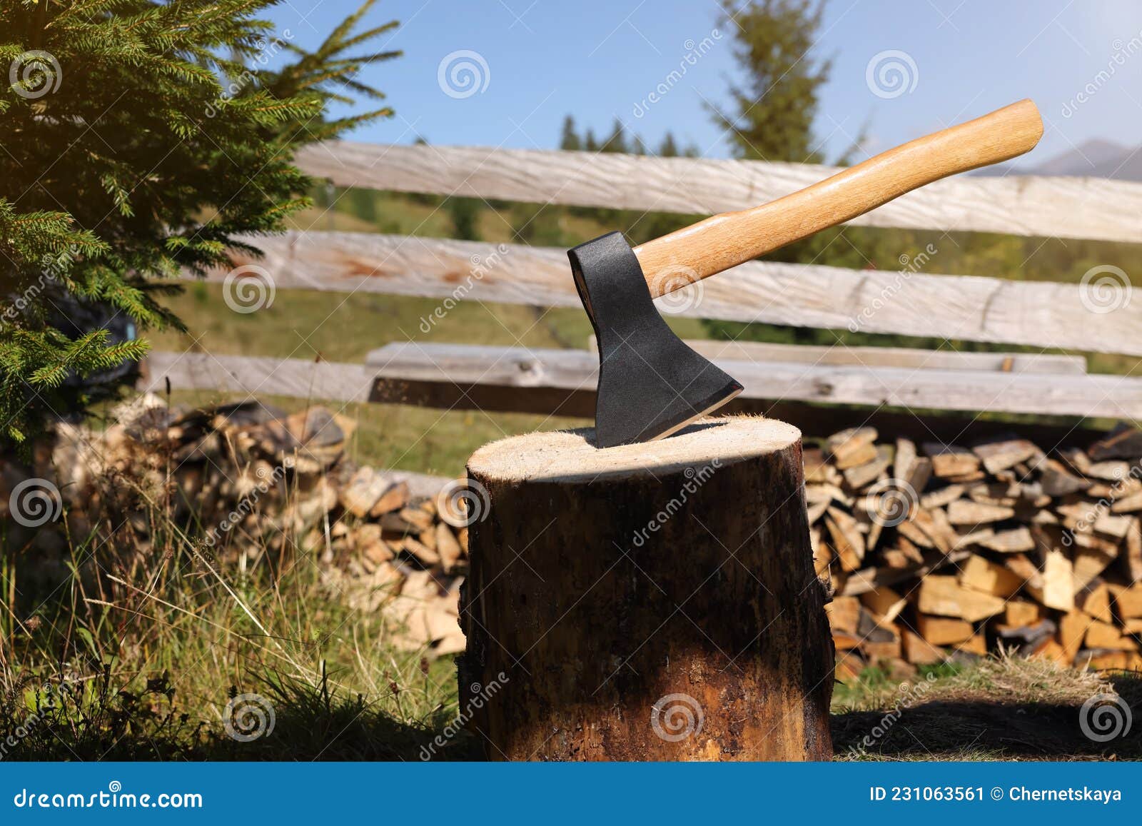 Tree Stump with Axe and Cut Firewood Outdoors, Space for Text Stock ...
