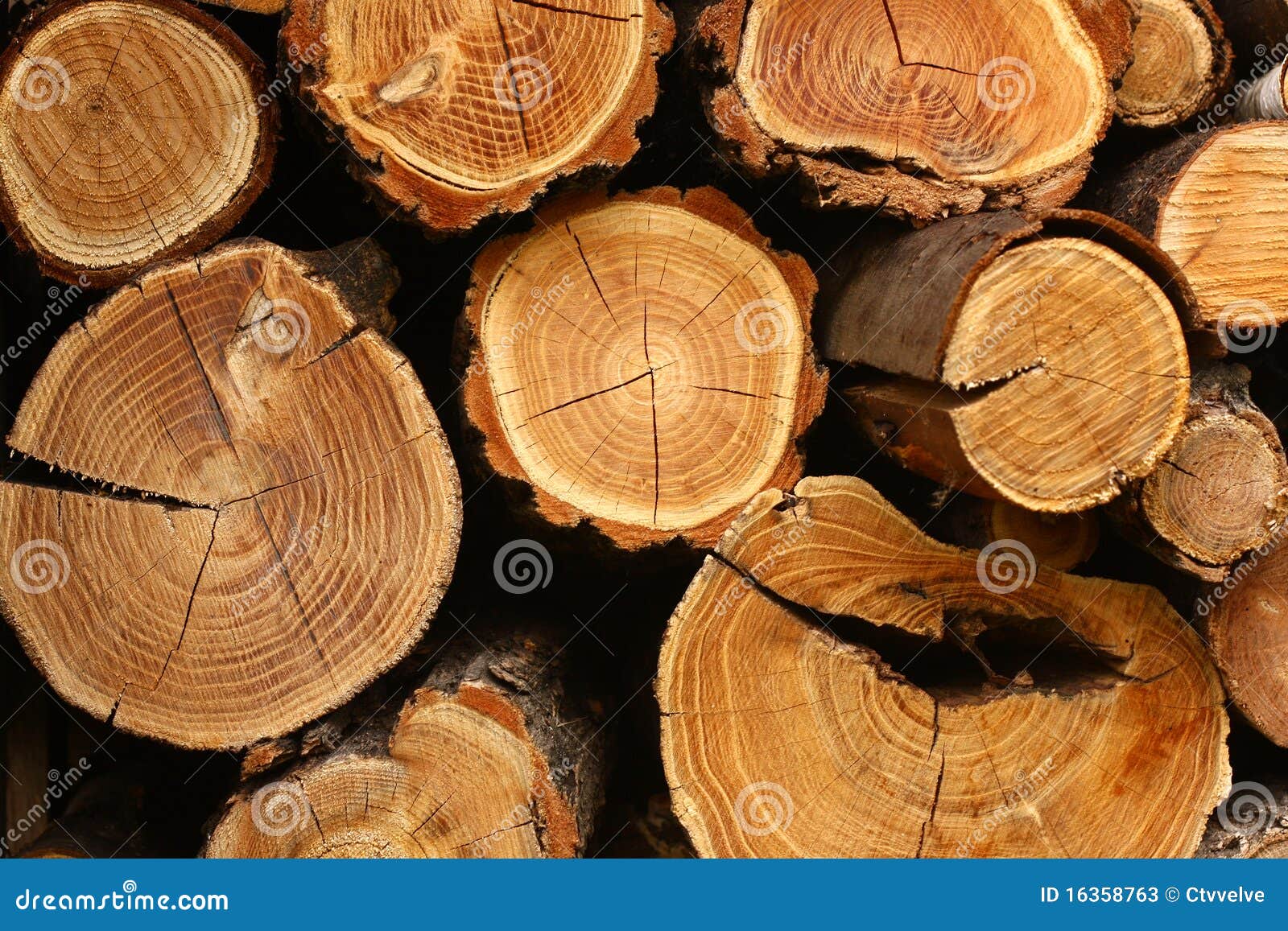 Tree stump background stock image. Image of background - 16358763