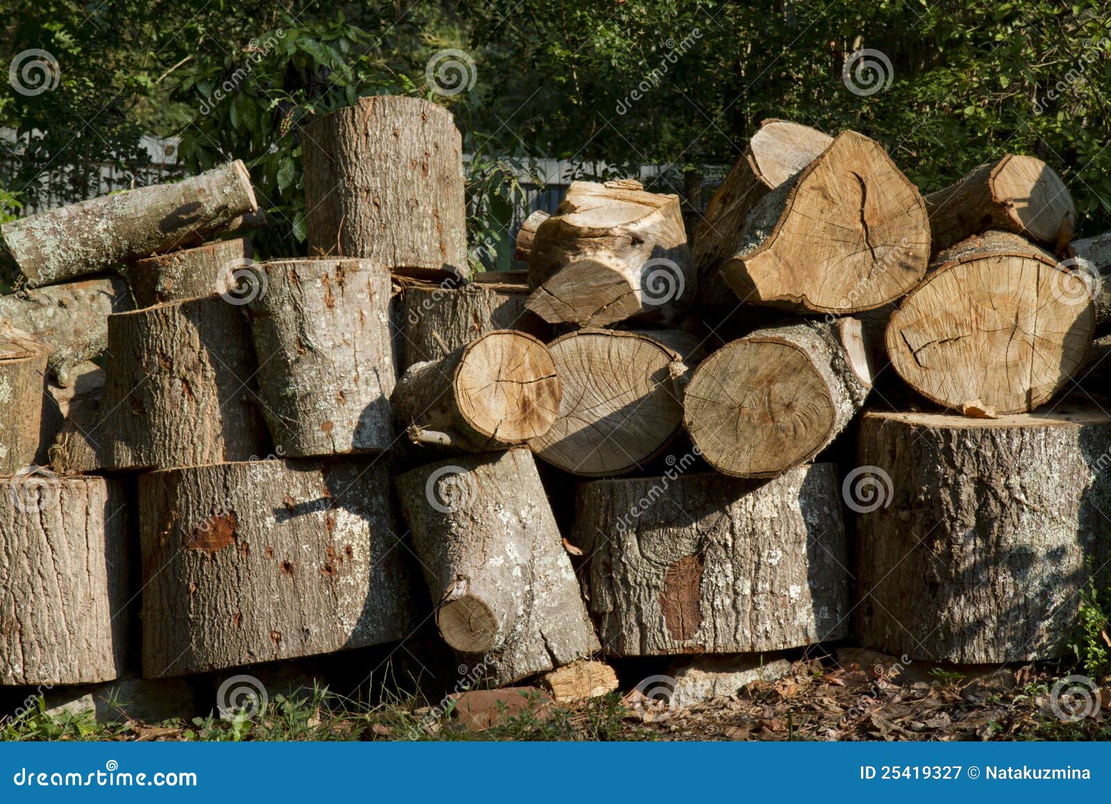 Tree stump background stock image. Image of stump, wood - 25419327