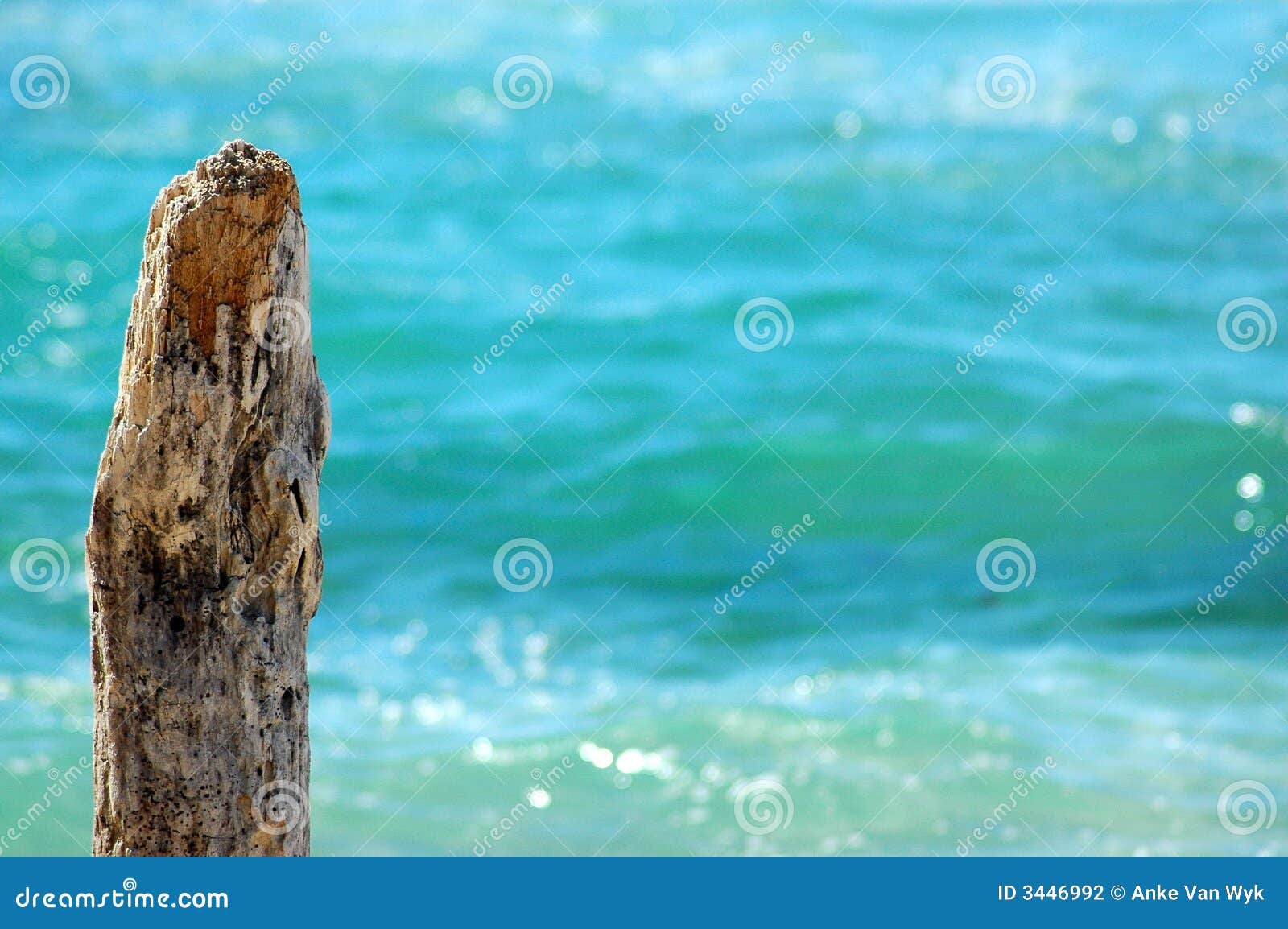 Tree stump and blue sea stock photo. Image of wooden, seaside - 3446992