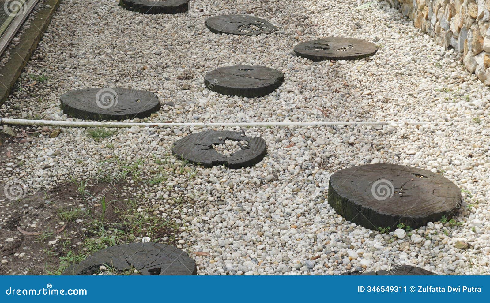Tree Stump Circular Pathway in City Park Stock Image - Image of ...