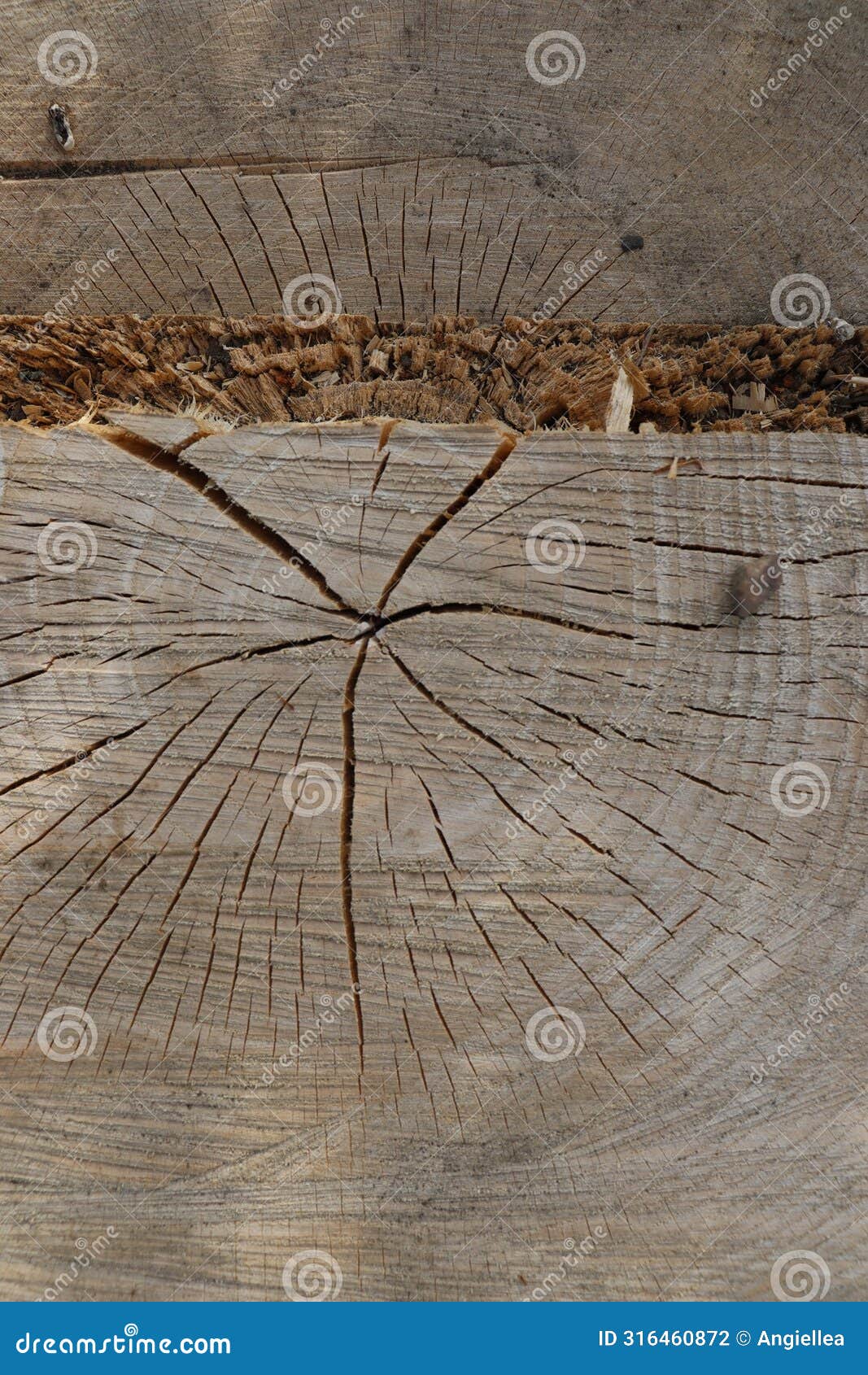 Abstract background 410 stock photo. Image of wood, close - 316460872
