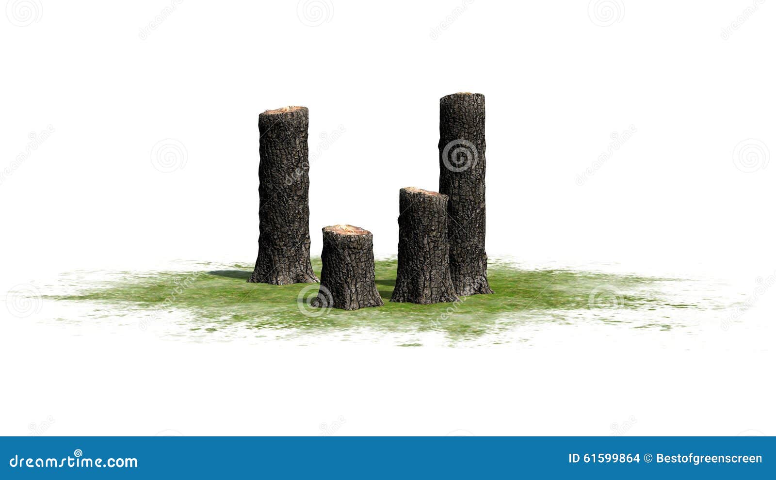 Three Stumps Of Felled Trees Vector Illustration | CartoonDealer.com ...