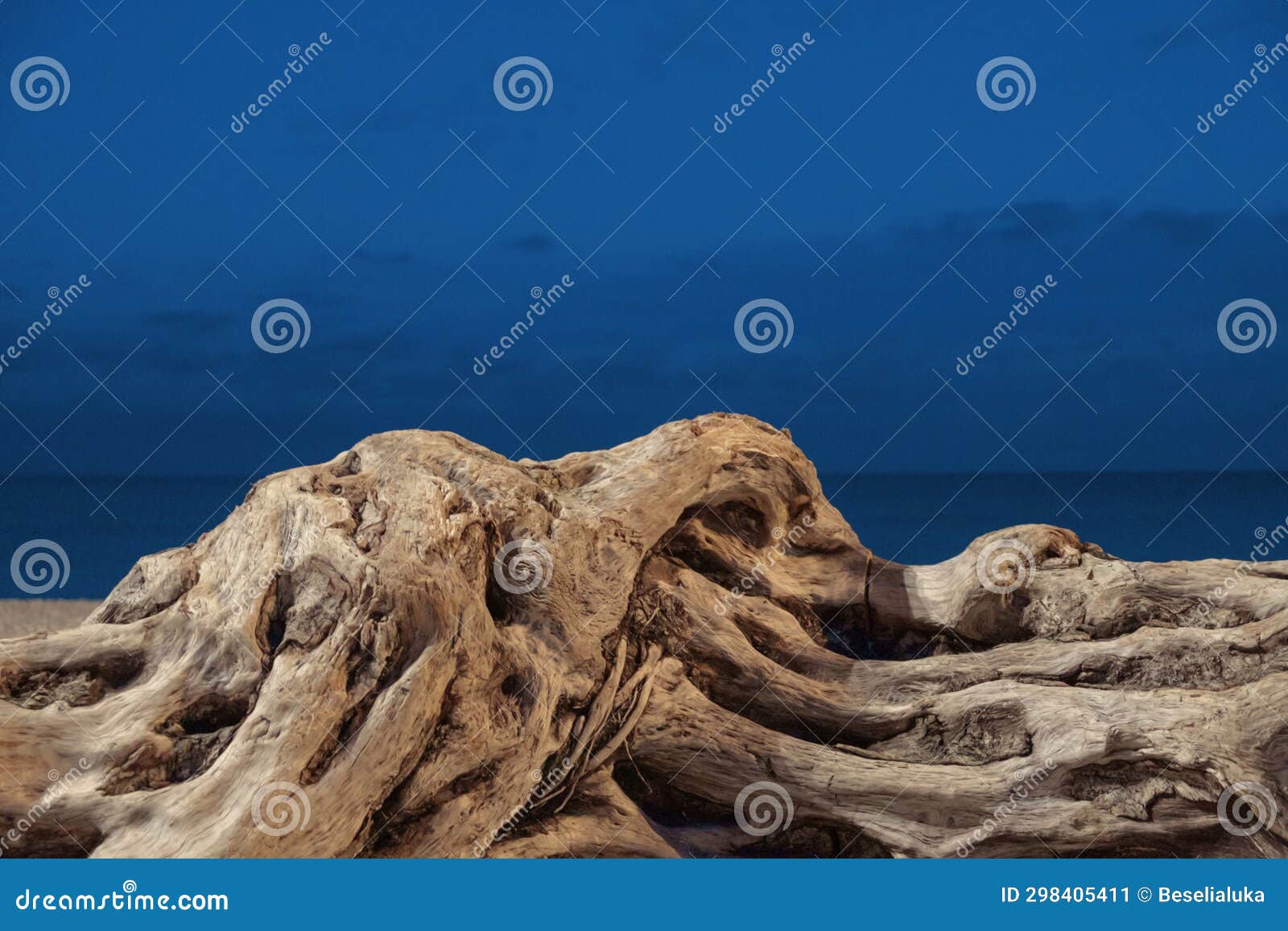 A Tree Stump Formed by the Sea Stock Image - Image of stone, beautiful ...