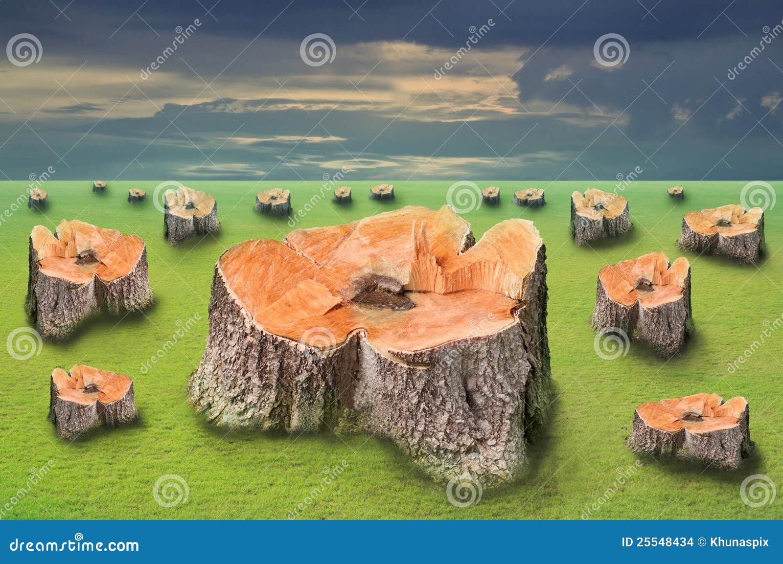 Tree stump on green field stock photo. Image of plants - 25548434