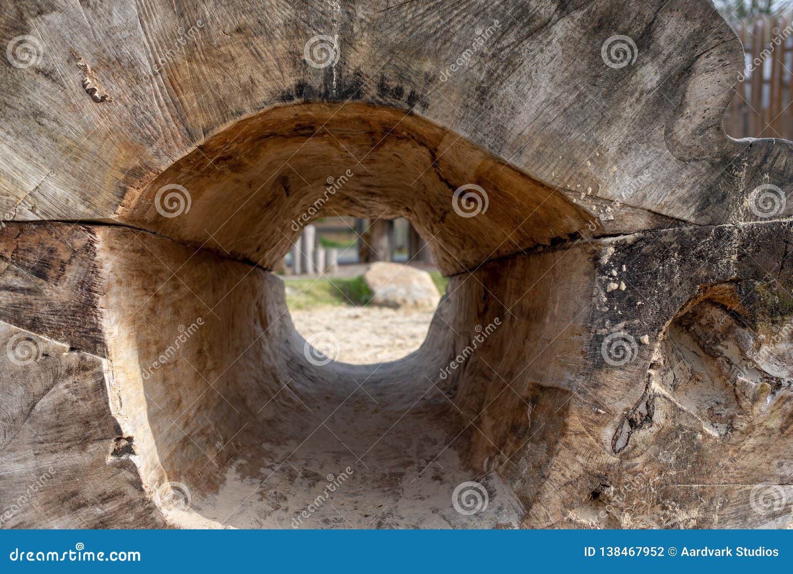 Tree Stump with Hole Inside Stock Photo - Image of inside, plant: 138467952