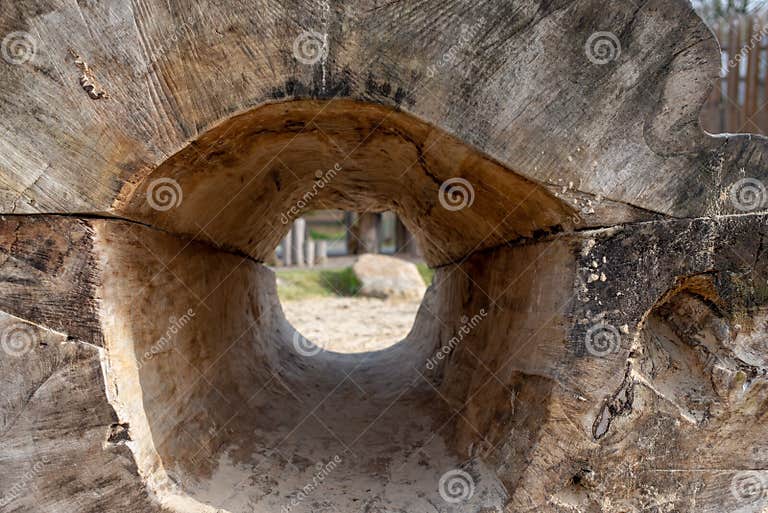 Tree Stump with Hole Inside Stock Photo - Image of inside, plant: 138467952