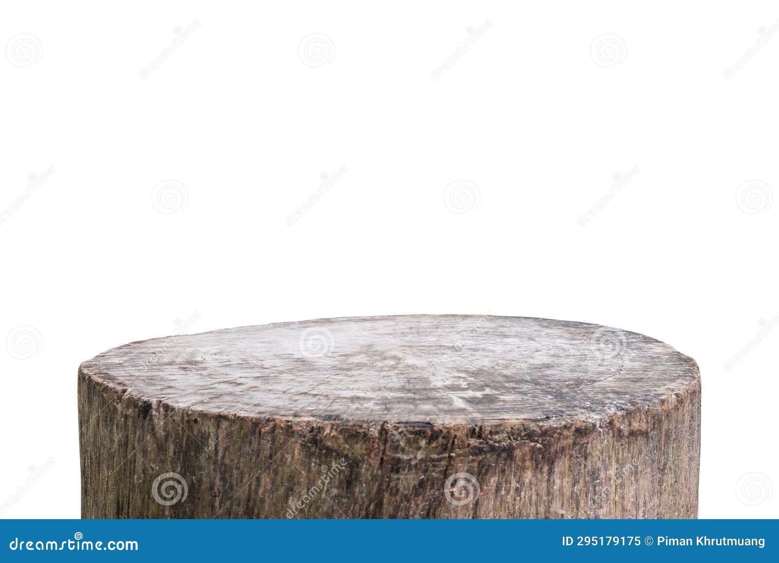 Tree Stump Isolated on White Stock Image - Image of stem, natural ...