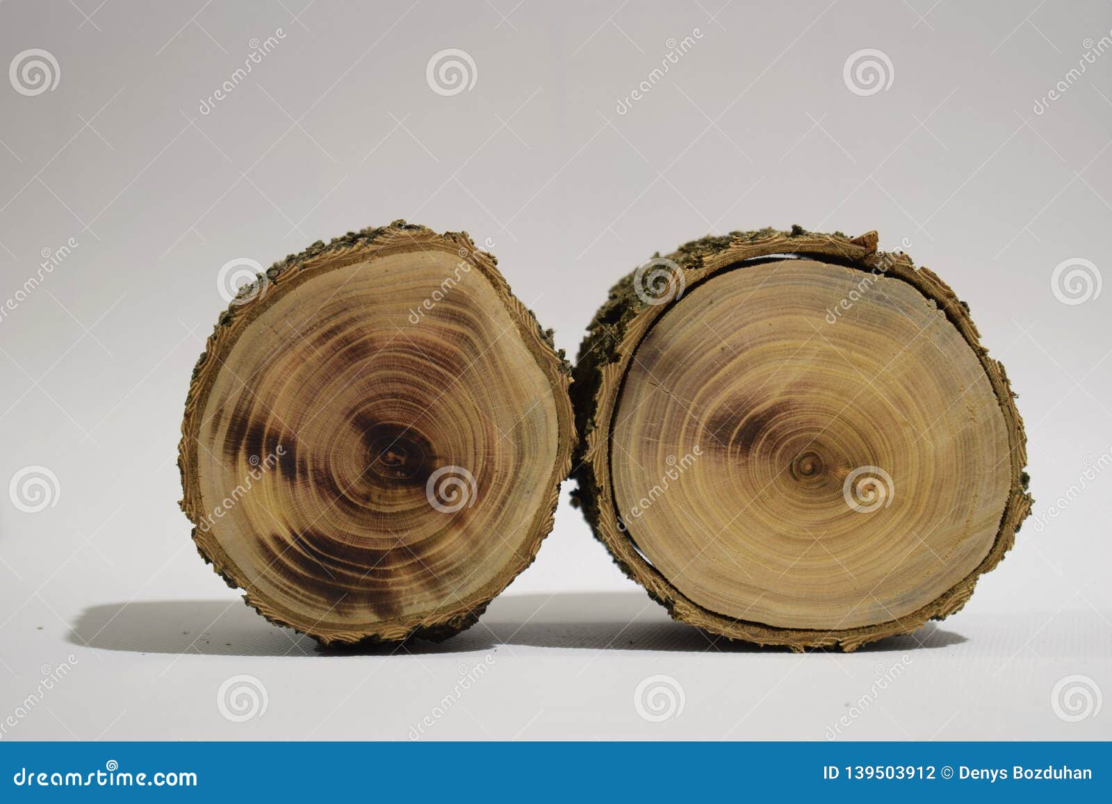 Tree Stump, Isolated on White Stock Photo - Image of stump, object ... Tree Stump, Isolated on White Stock Photo - Image of stump, object ...