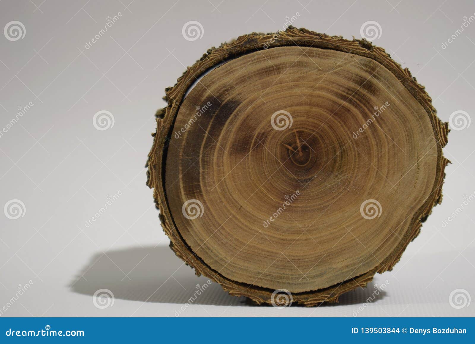 Tree Stump, Isolated on White Stock Photo - Image of stick, ring: 139503844 Tree Stump, Isolated on White Stock Photo - Image of stick, ring: 139503844