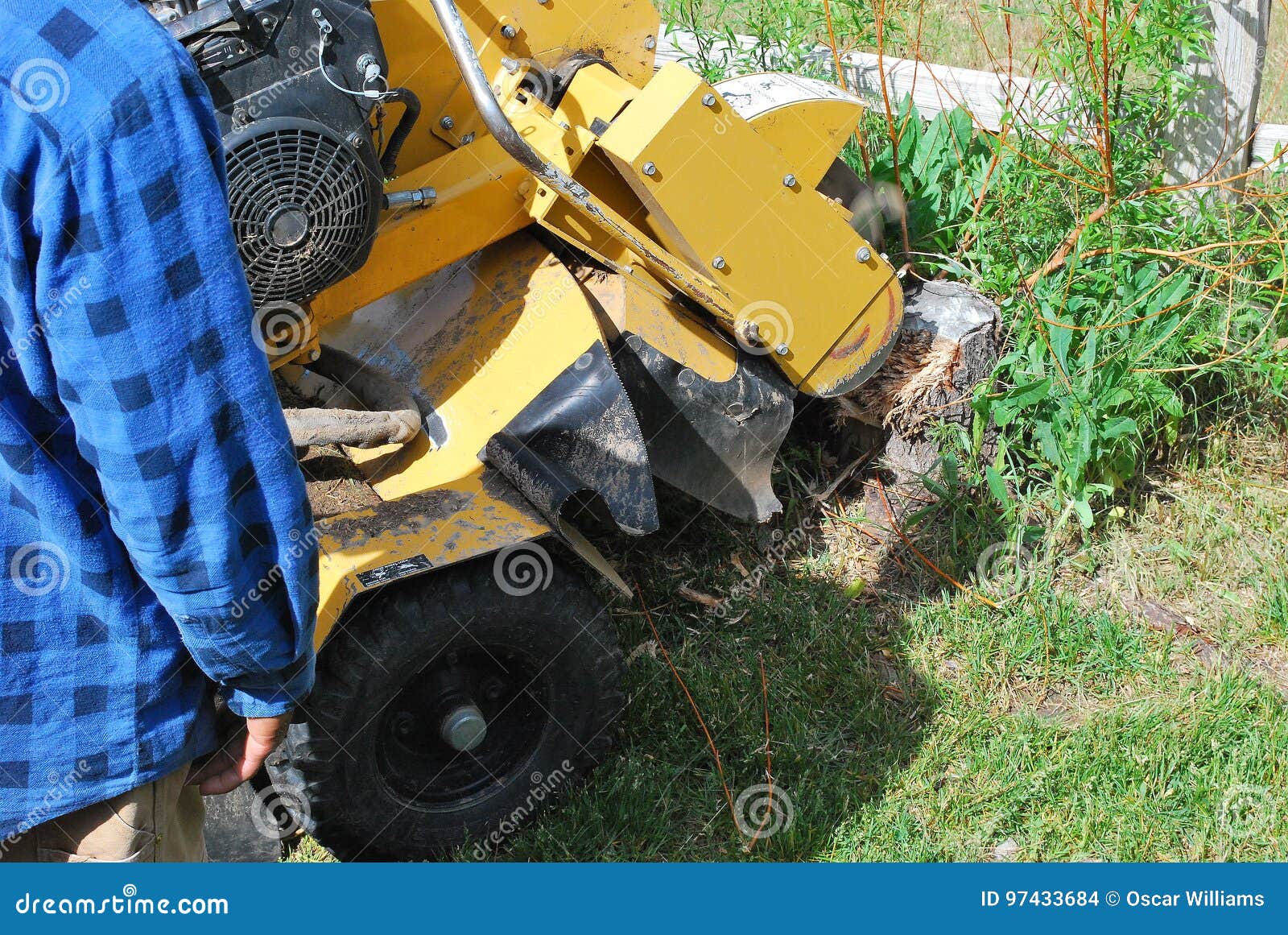 Tree stump machine. stock photo. Image of gasoline, removal - 97433684