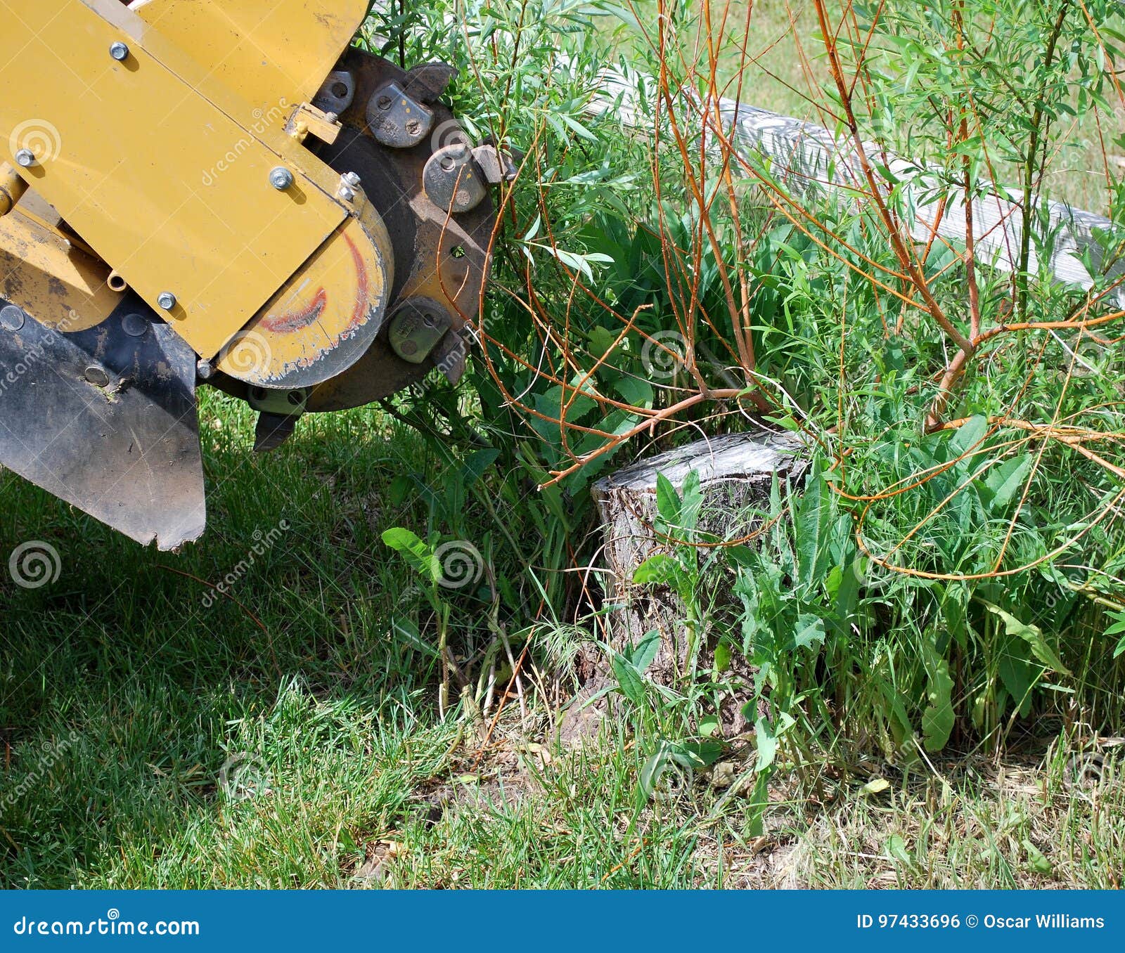 Tree stump machine. stock photo. Image of tree, fuel - 97433696