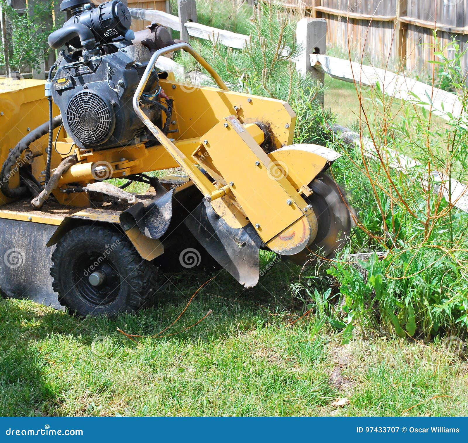 Tree stump machine. stock image. Image of stump, tree - 97433707