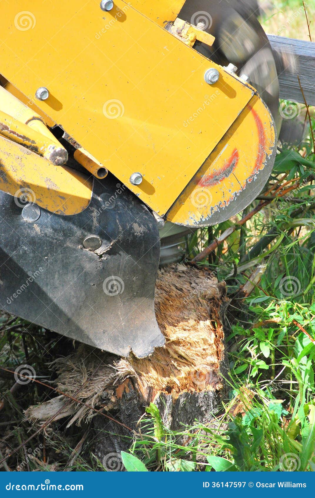 Tree stump machine. stock image. Image of stump, machine - 36147597