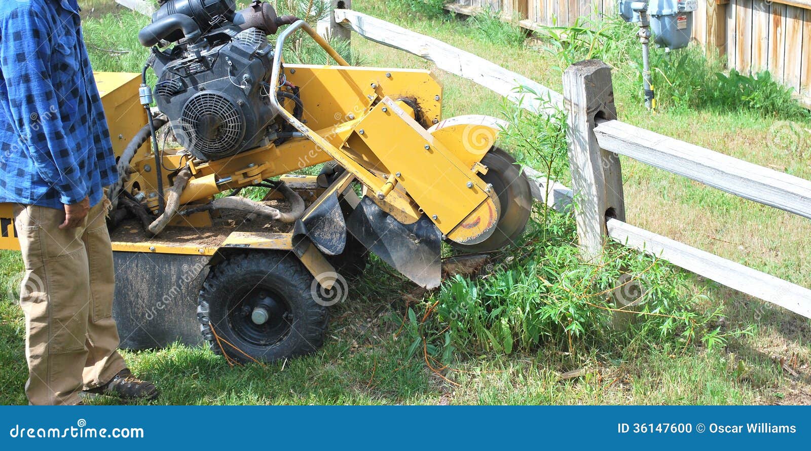 Tree stump machine. stock photo. Image of power, labor - 36147600