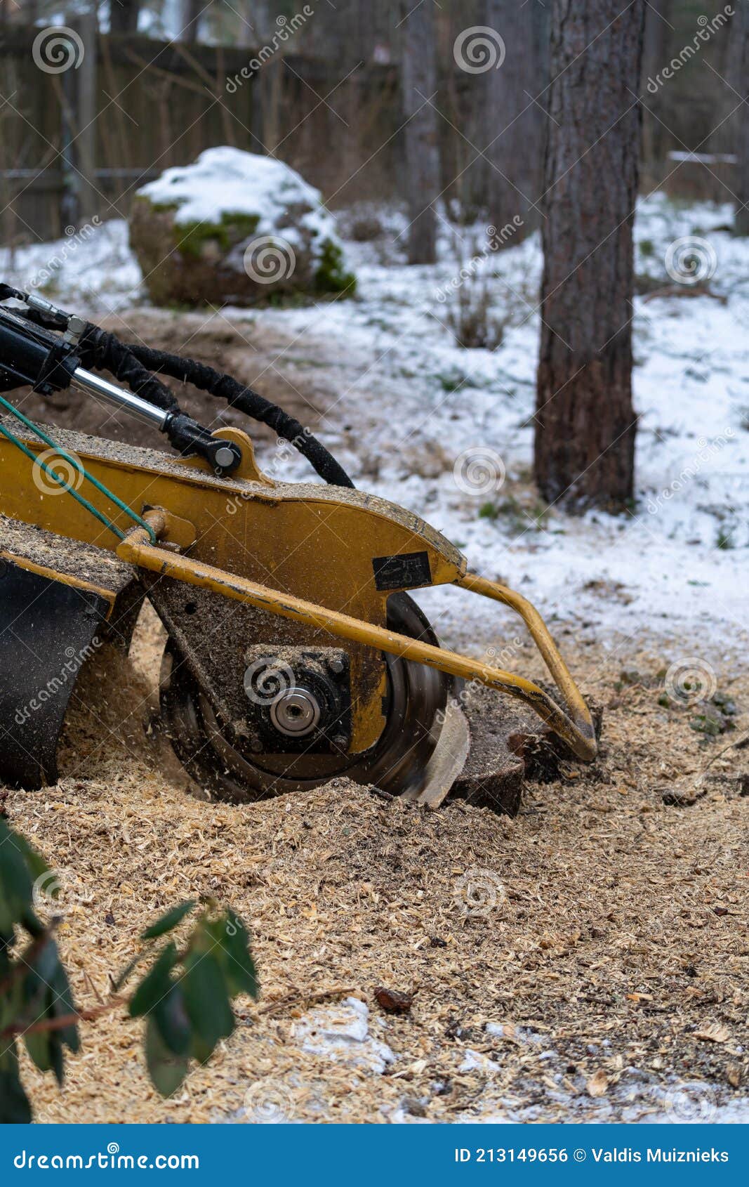 Tree Stump Removing Process with Yellow Stump Grinder Stock Photo ...