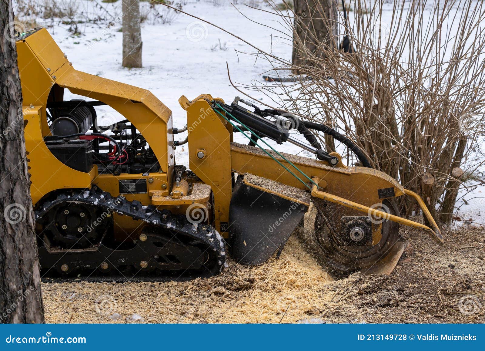 Tree Stump Removing Process with Yellow Stump Grinder Stock Photo ...
