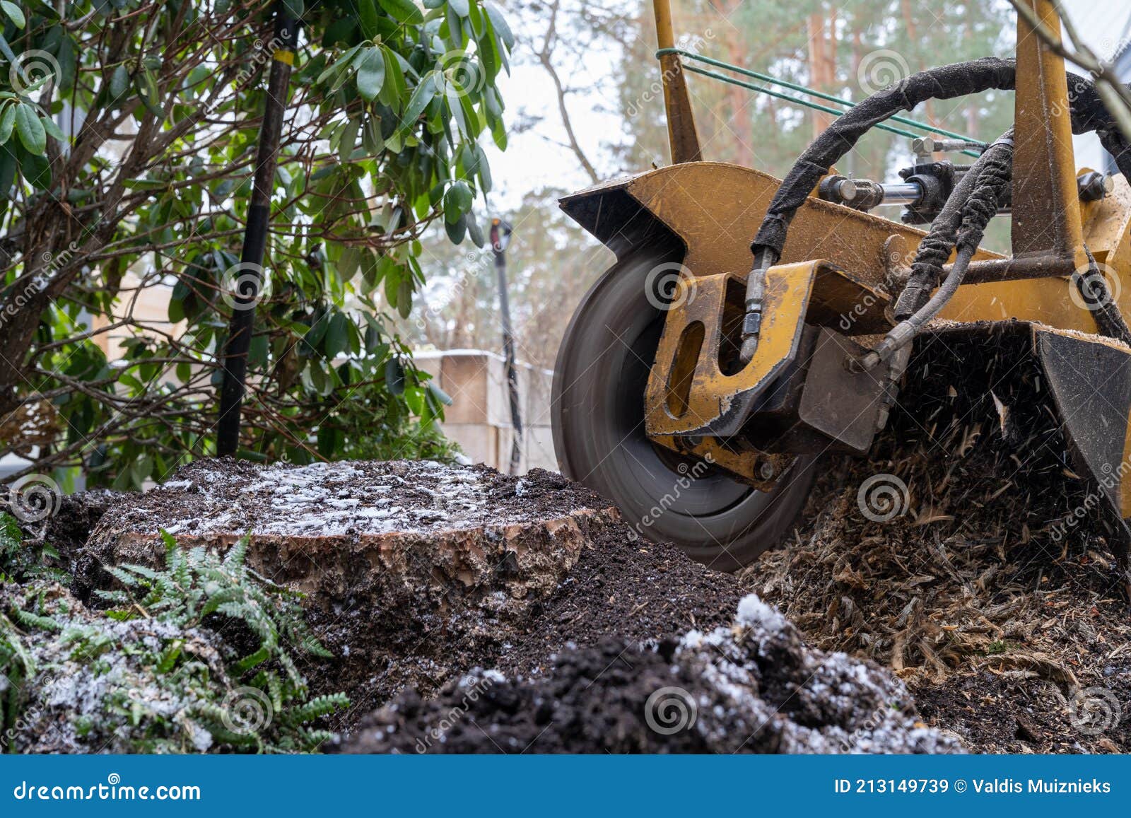 Tree Stump Removing Process with Yellow Stump Grinder Stock Image ...