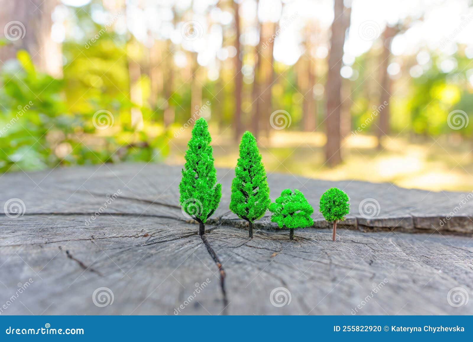 Tree Stump with Toy Trees Outdoors Stock Photo - Image of creative ...