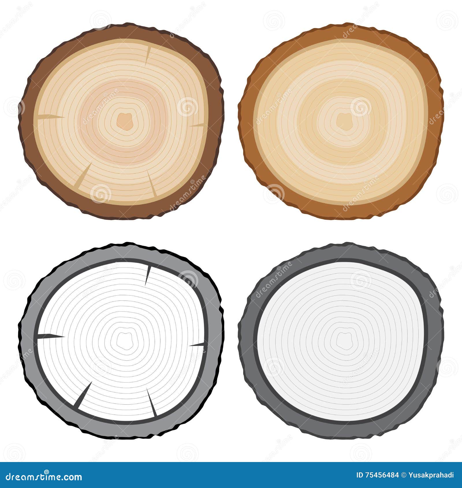 Tree Stump or Tree Rings Vector Stock Vector - Illustration of timber ...