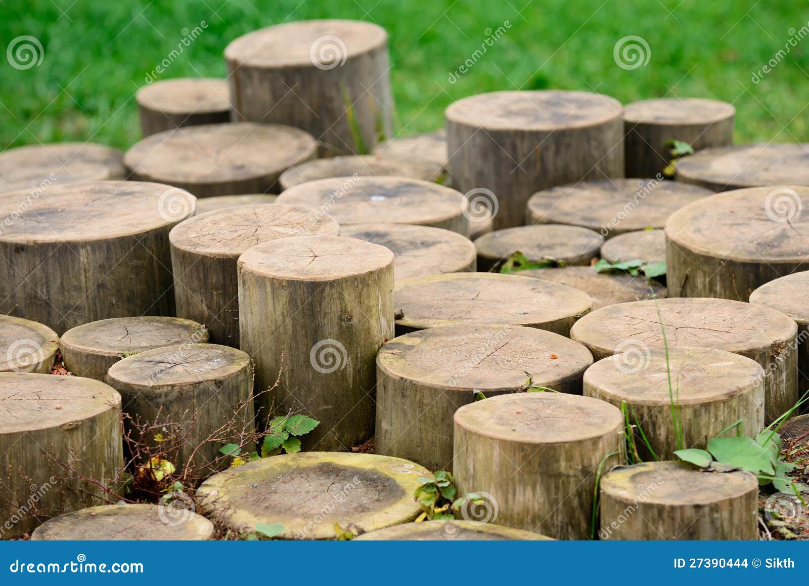 Tree Stumps stock photo. Image of background, resource - 27390444