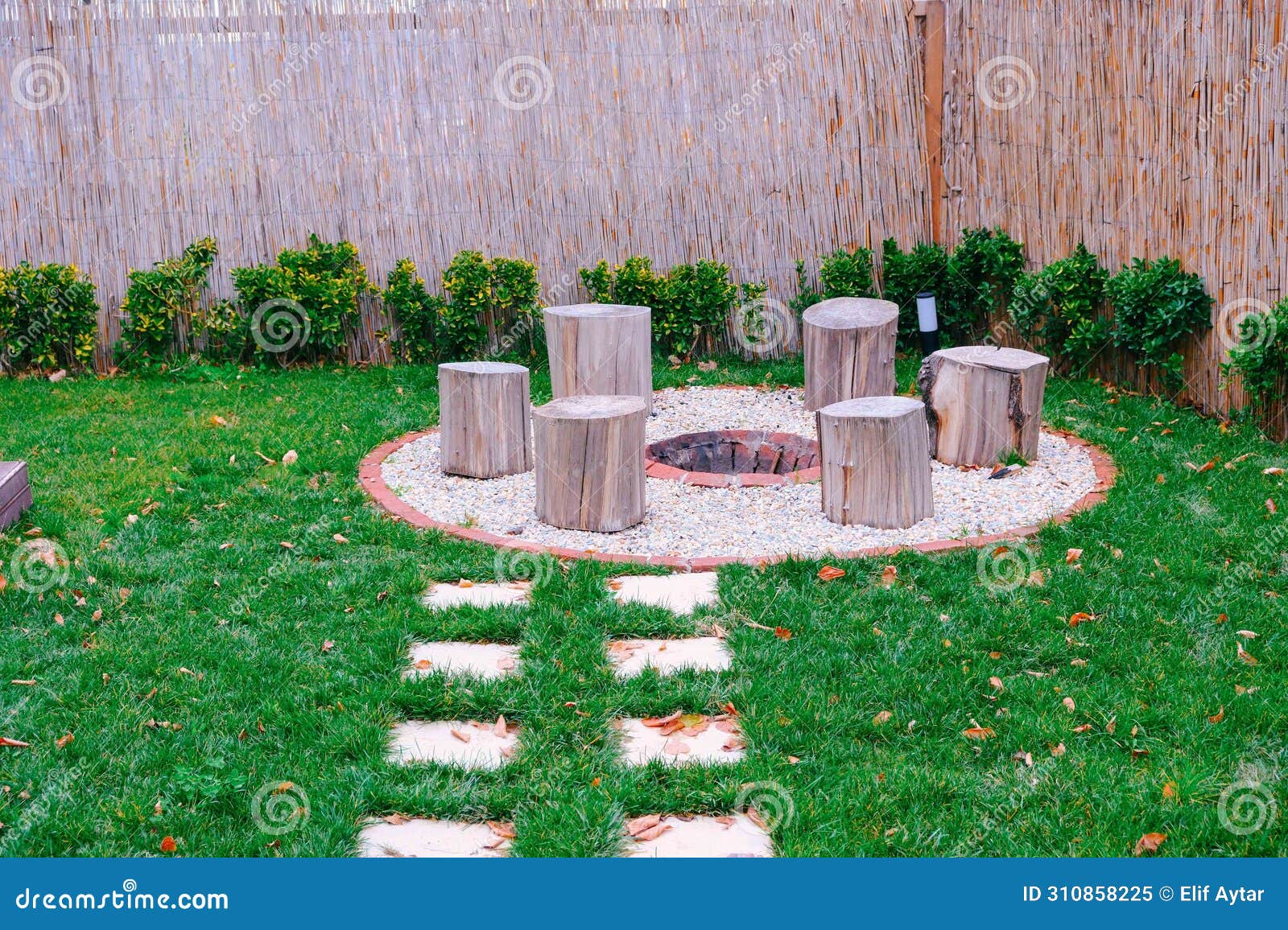 Tree Stumps Around Fire Pit with Smoke Rising from the Burning Logs ...