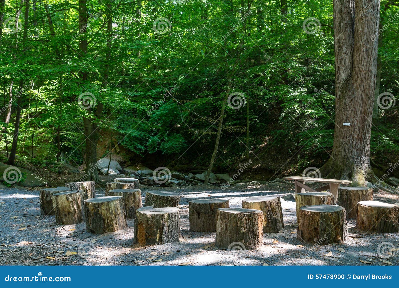 Tree Stumps As Park Benches Stock Photo - Image of tree, table: 57478900