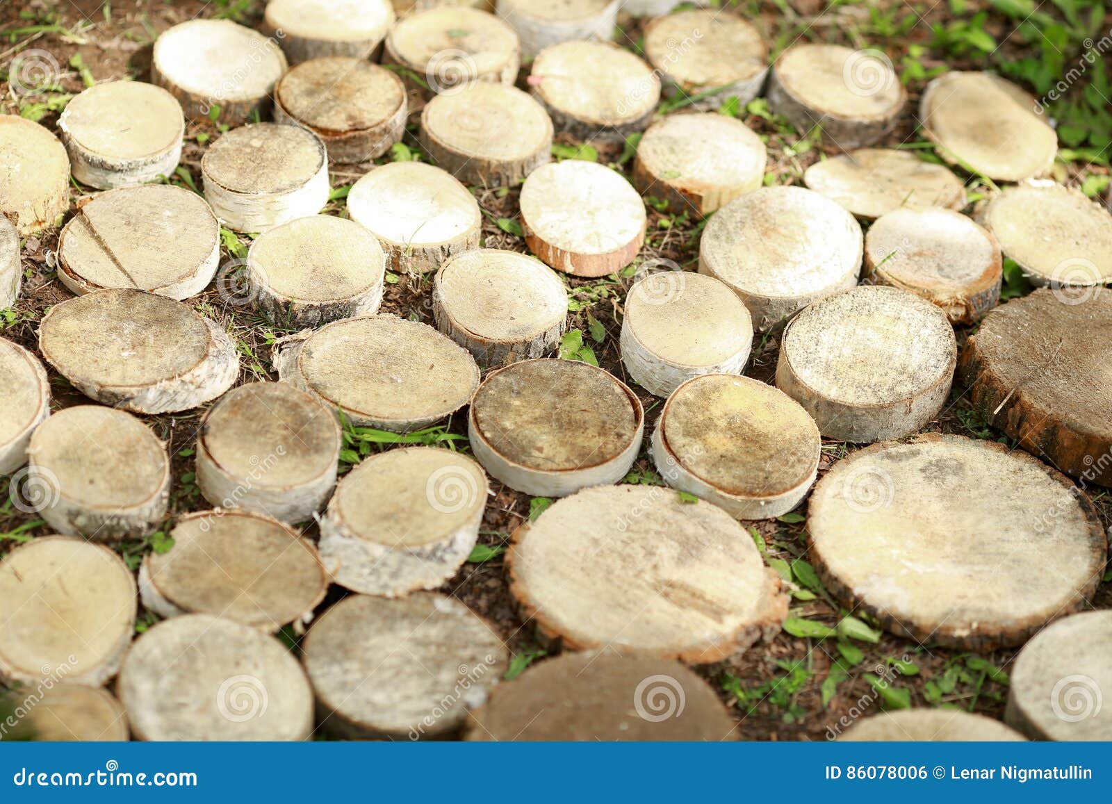 Tree Stumps Background. the Original Texture of a Beautiful Round Wood ...