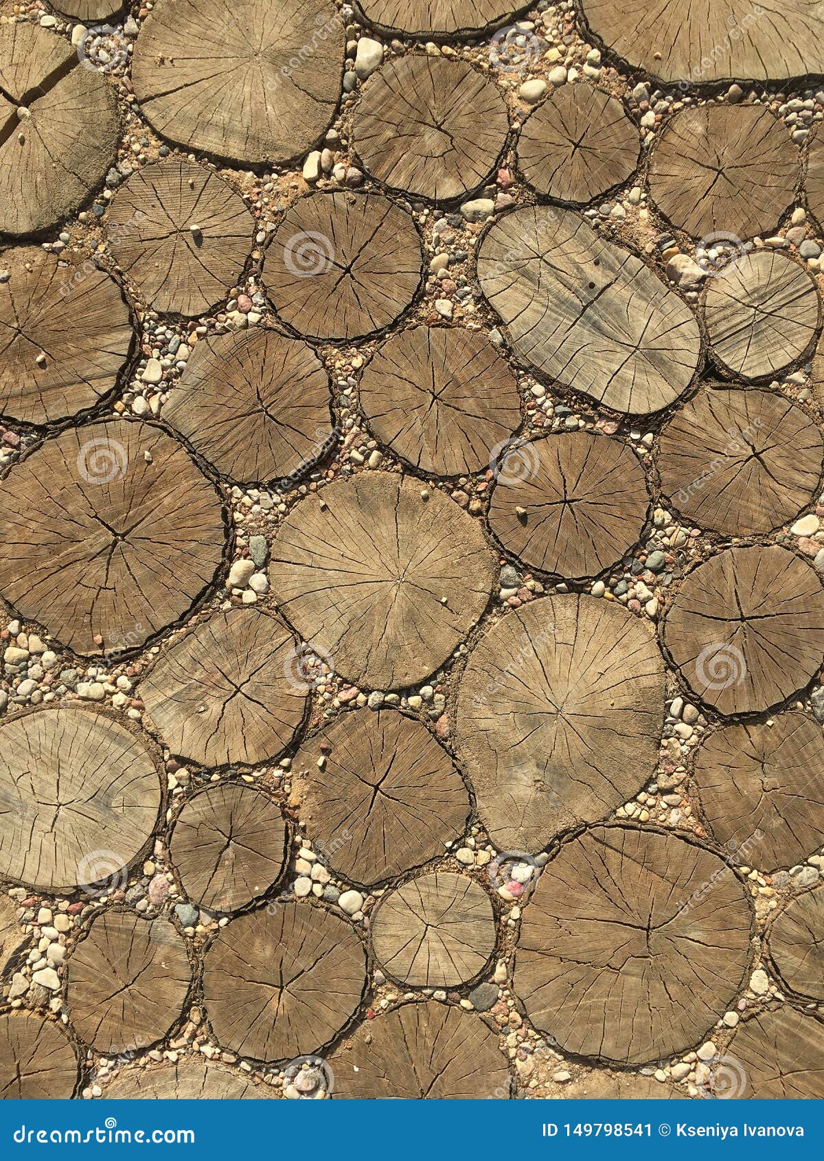 Tree Stumps Background. Round Teak Wood Tree Circle Stump Cutted Group ...