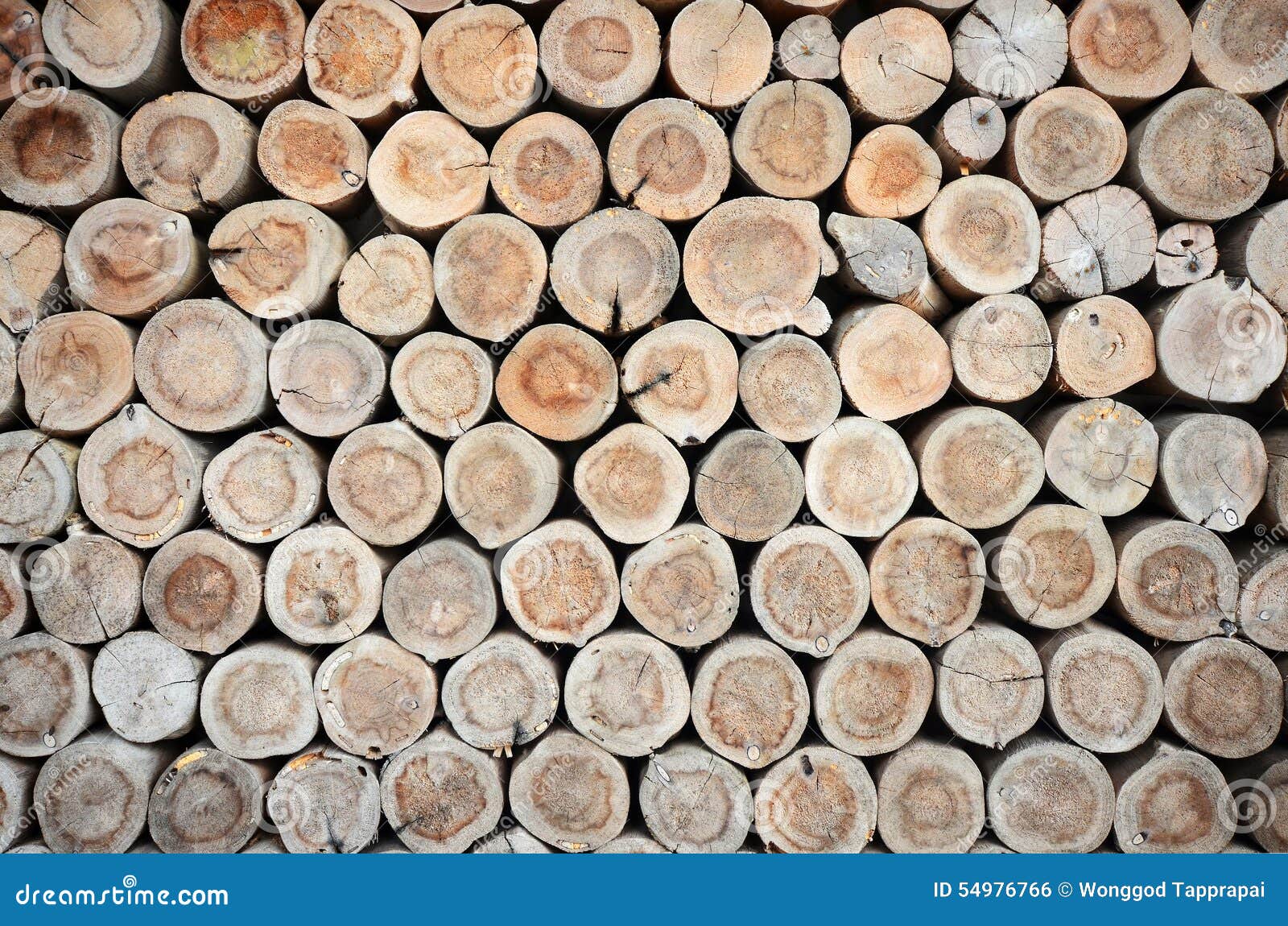 Tree Stumps Royalty-Free Stock Photo | CartoonDealer.com #110654175