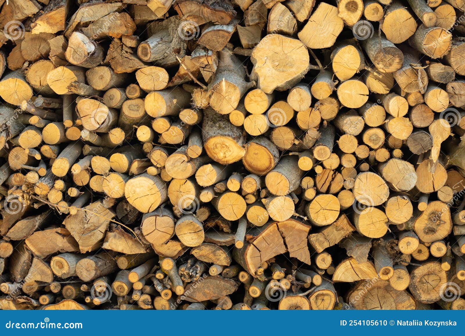 Cross Section of Tree Trunks Background. Cutting Tree Trunks Placed ...