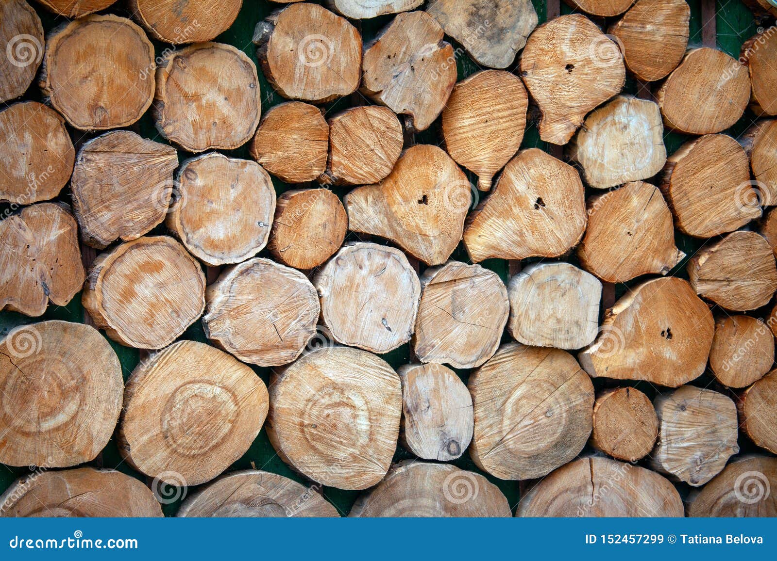 Tree Stumps Background, Wood Logs Texture Stock Image - Image of crack ...