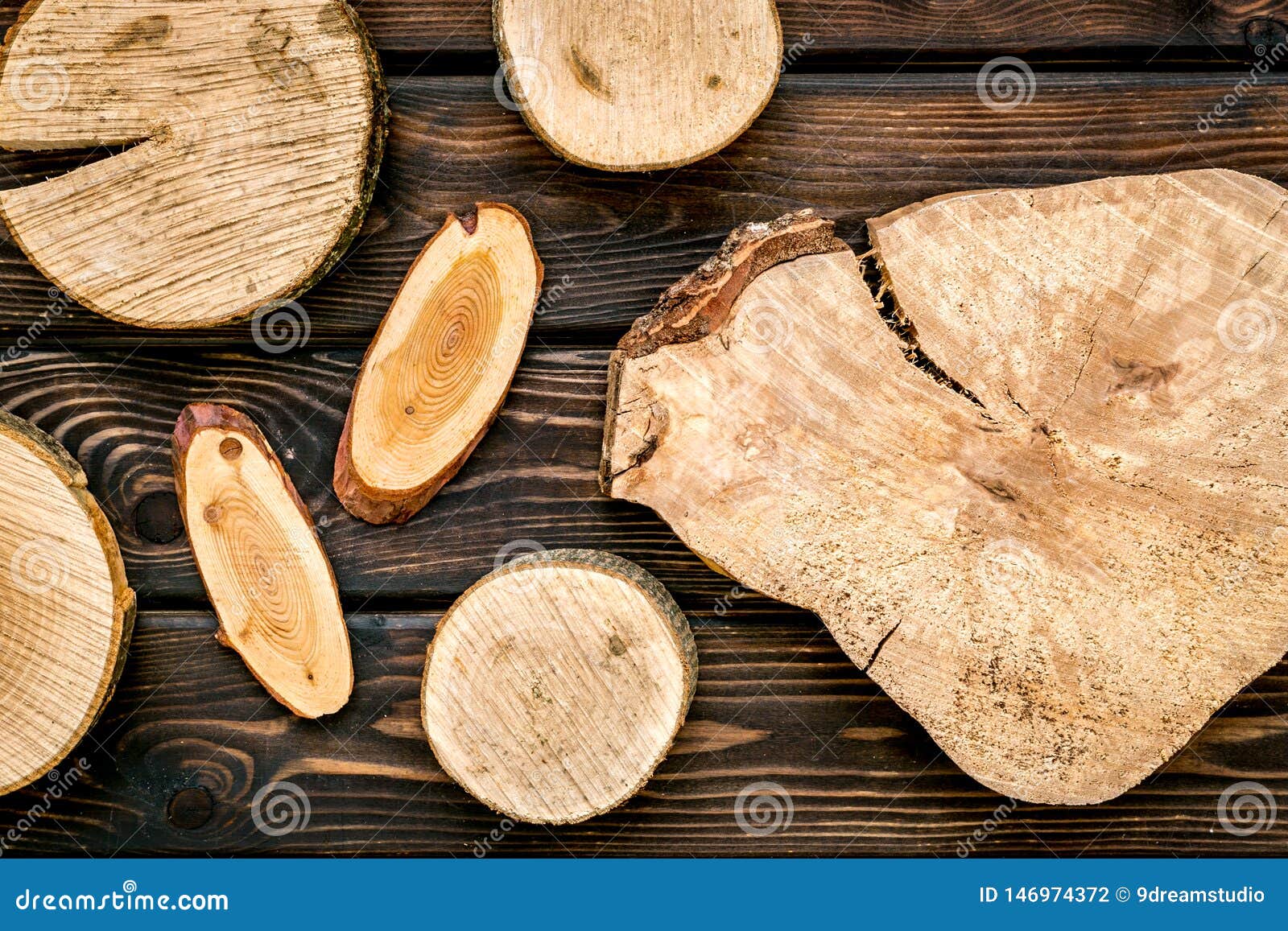 Tree Stumps for Computer Desktop Background Top View Pattern Stock ...