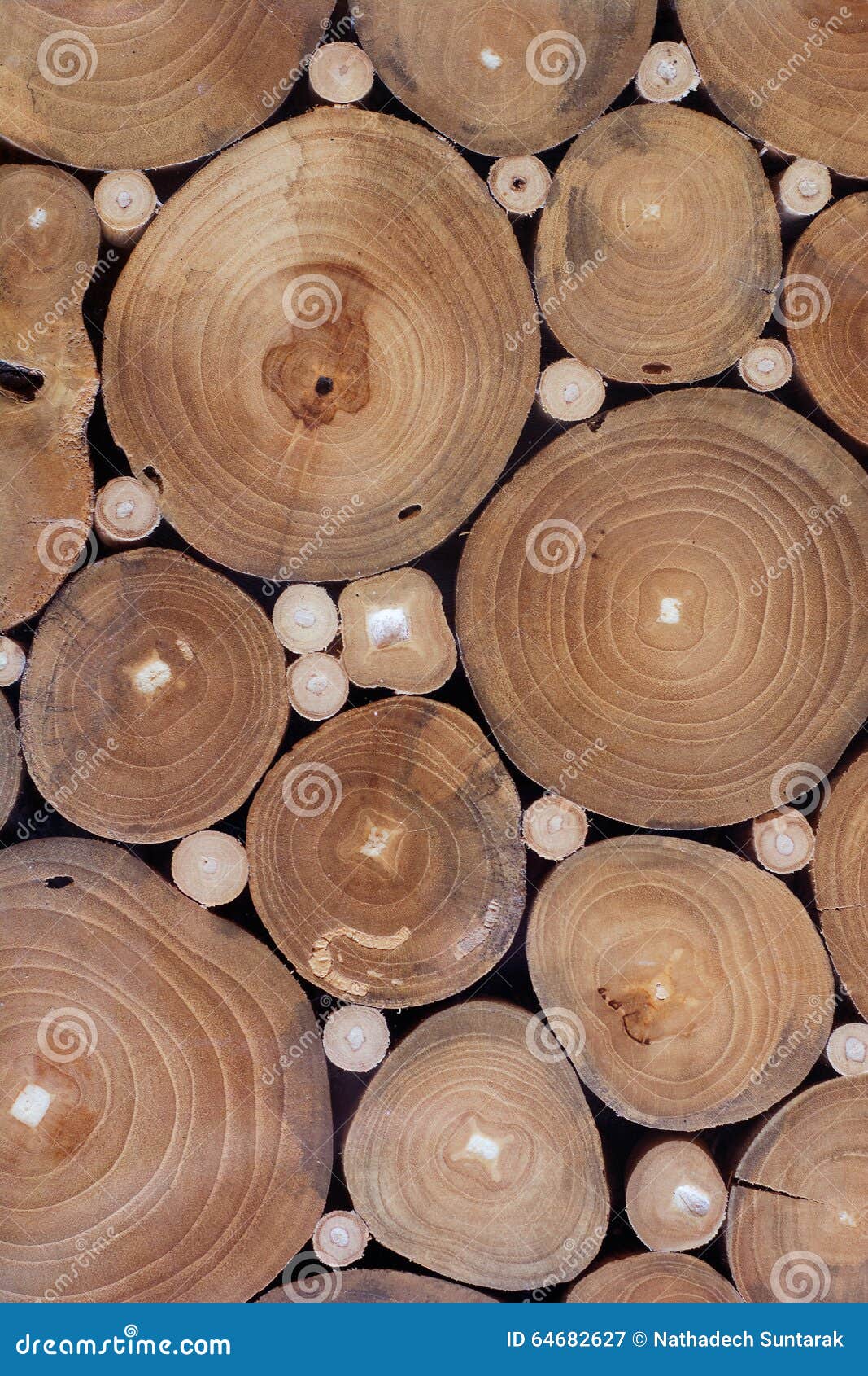 Tree Stumps Texture Background Stock Image - Image of plant, textured ...