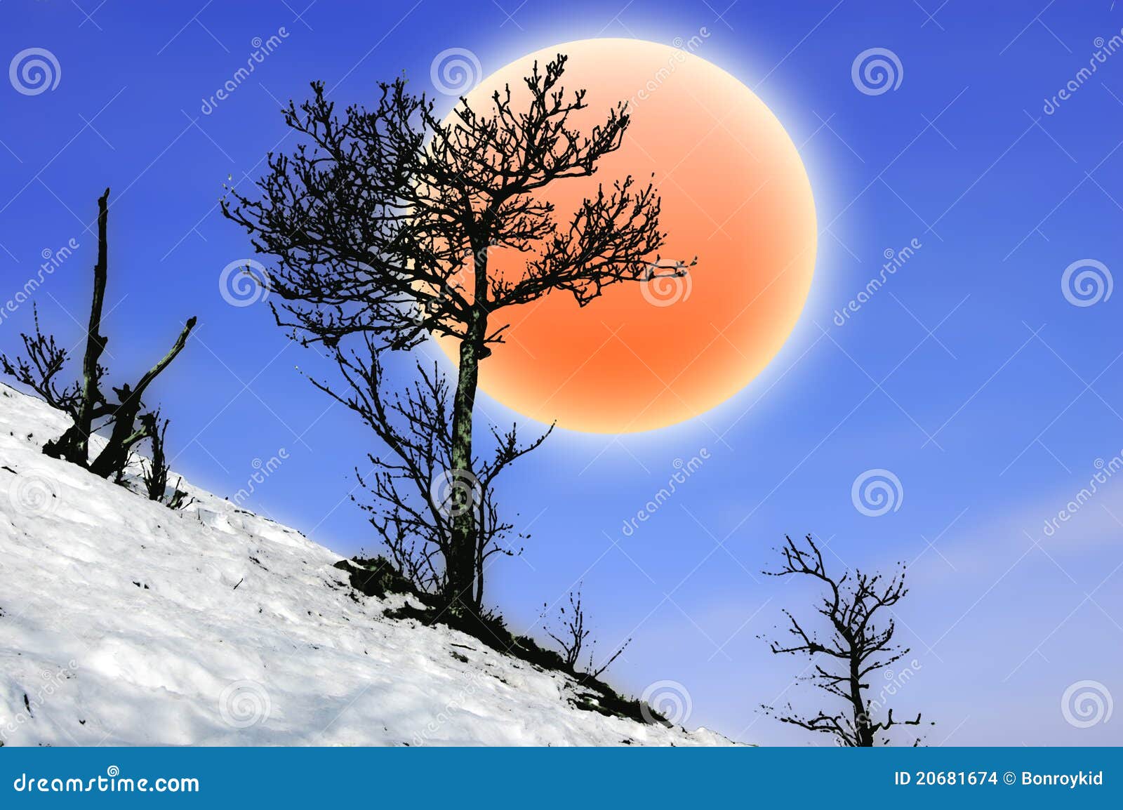 Tree and sun stock photo. Image of abstract, sunset, light - 20681674