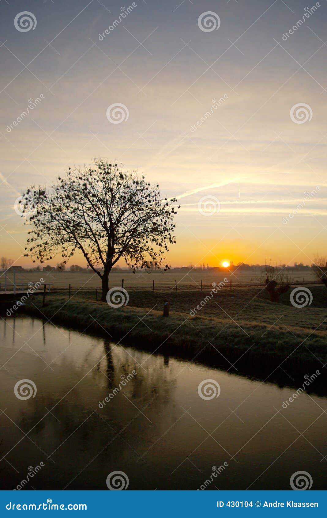 Tree sunrise reflection stock photo. Image of dawn, blue - 430104