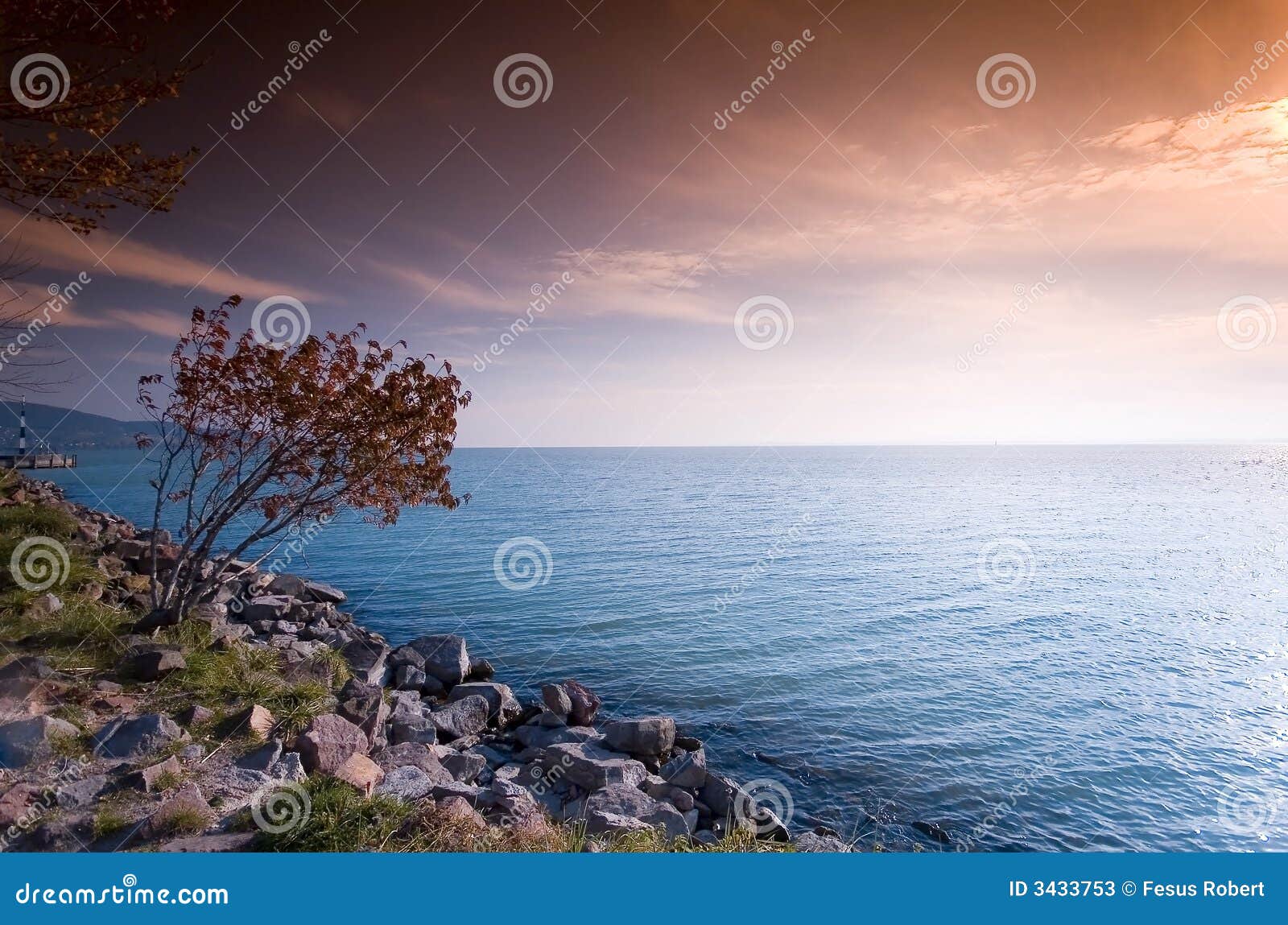 Tree and Sunrise by the Sea Stock Image - Image of lake, season: 3433753