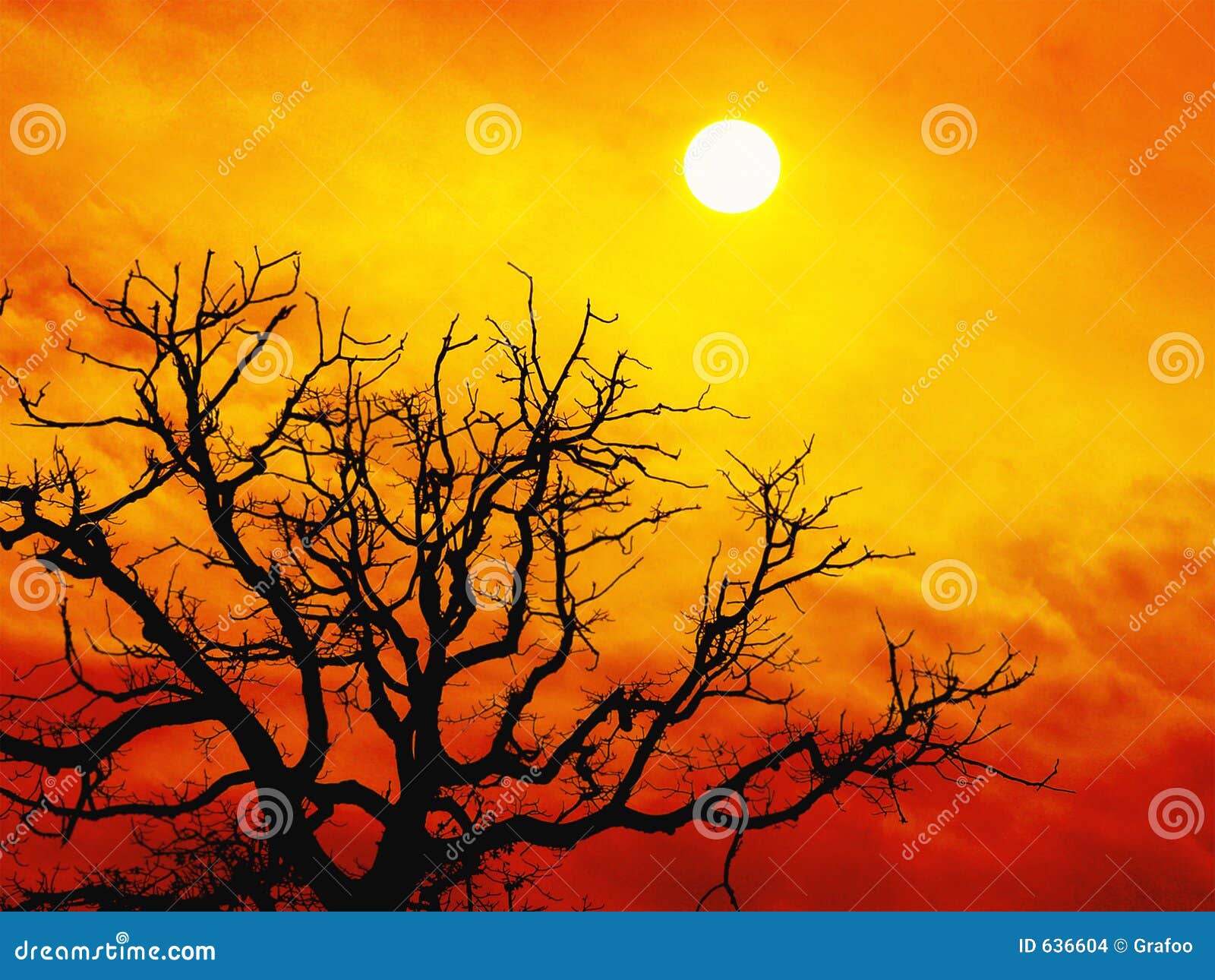 Tree at sunset stock photo. Image of horizontal, inspirational - 636604