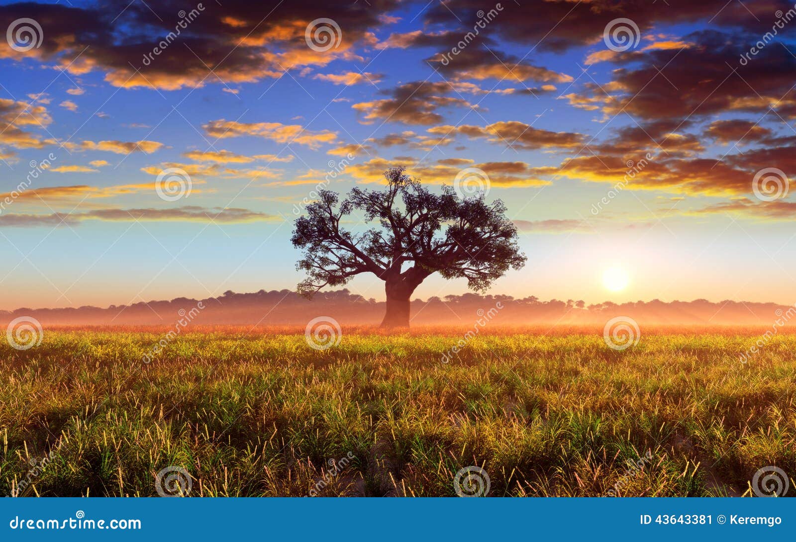 Tree on Sunset Field stock illustration. Illustration of fantastic ...