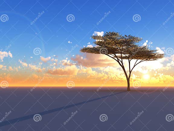 Tree on Sunset Horizon stock illustration. Illustration of horizon ...