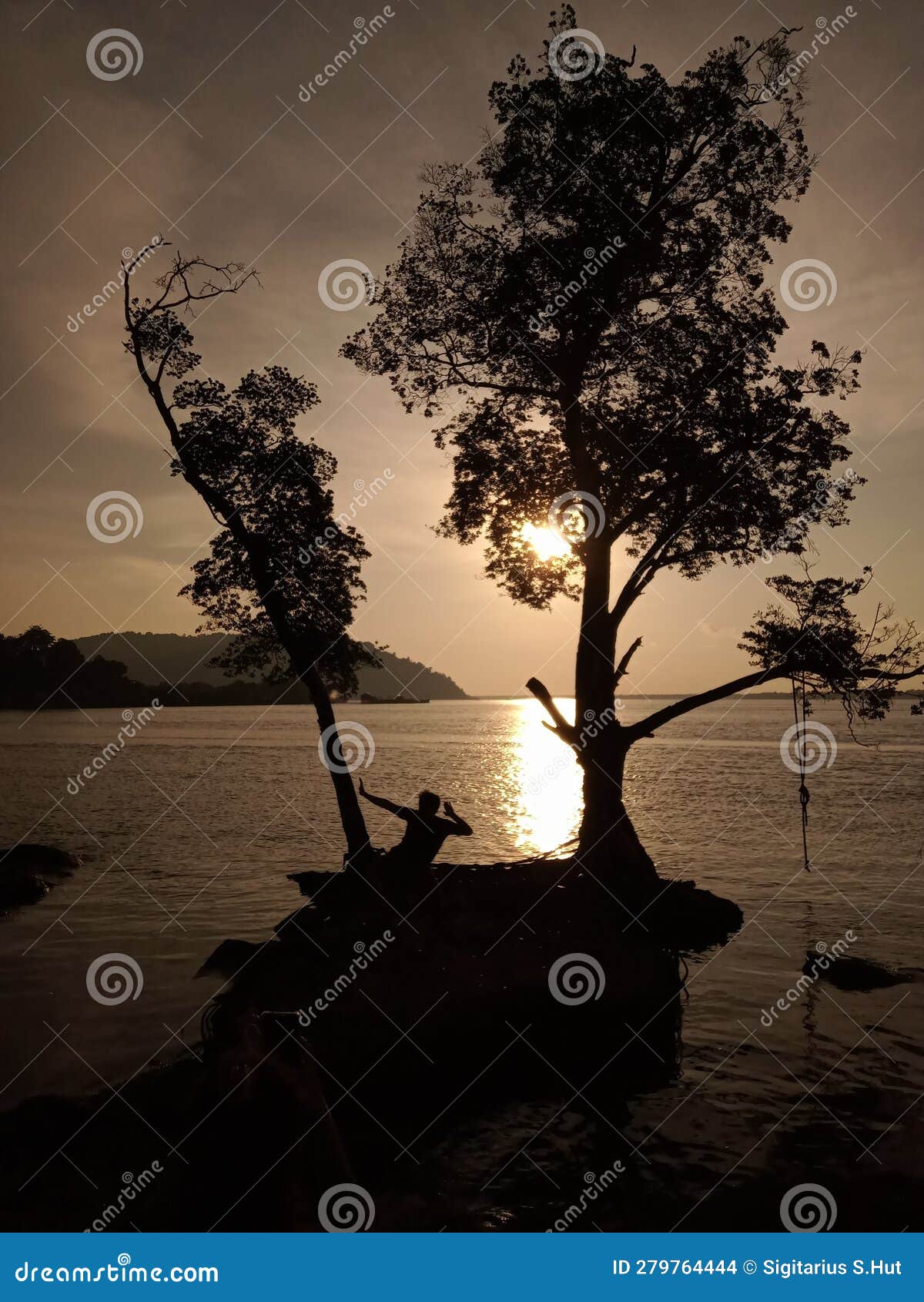 Tree supporting human life stock photo. Image of light - 279764444