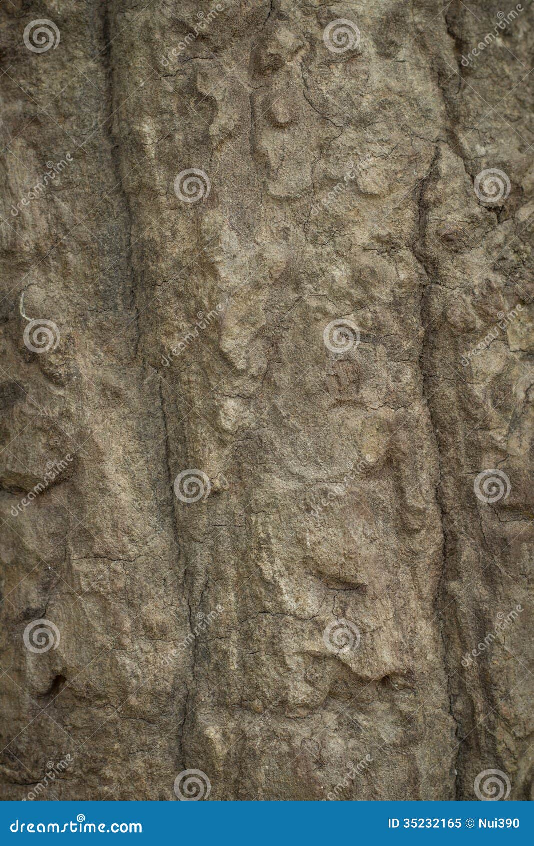 Tree surface stock image. Image of brown, rough, wood - 35232165