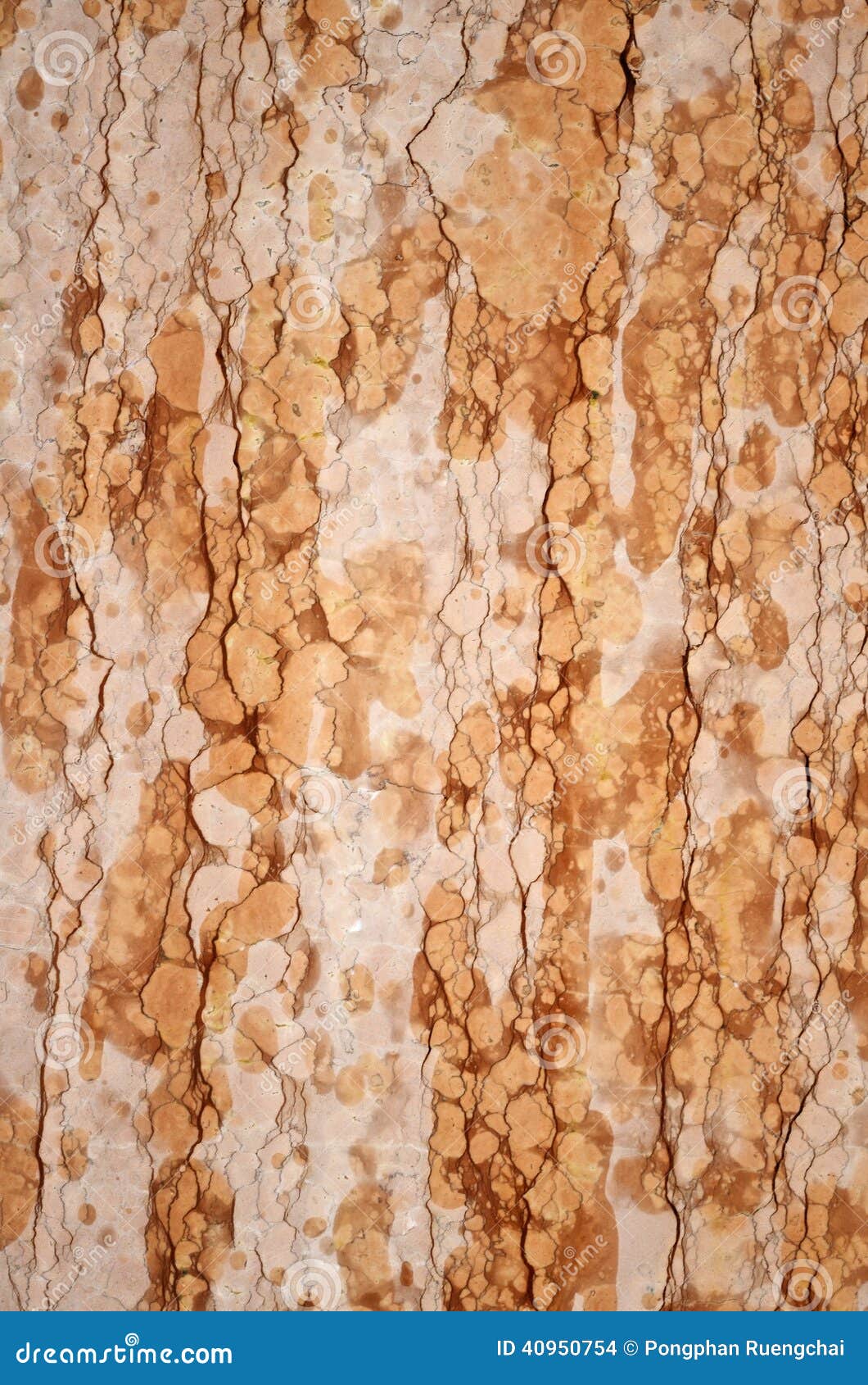 Tree surface stock photo. Image of material, macro, pattern - 40950754