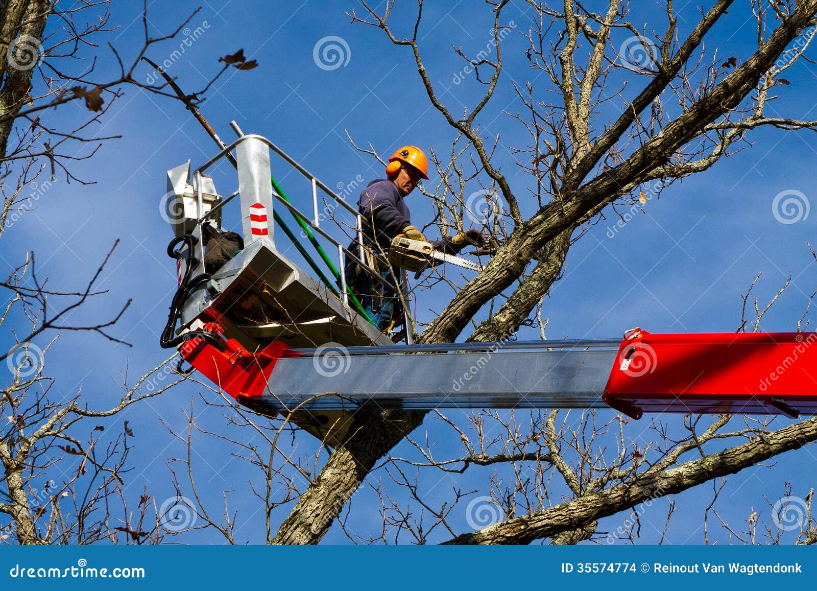 Tree surgeon editorial stock image. Image of cherrypicker - 35574774