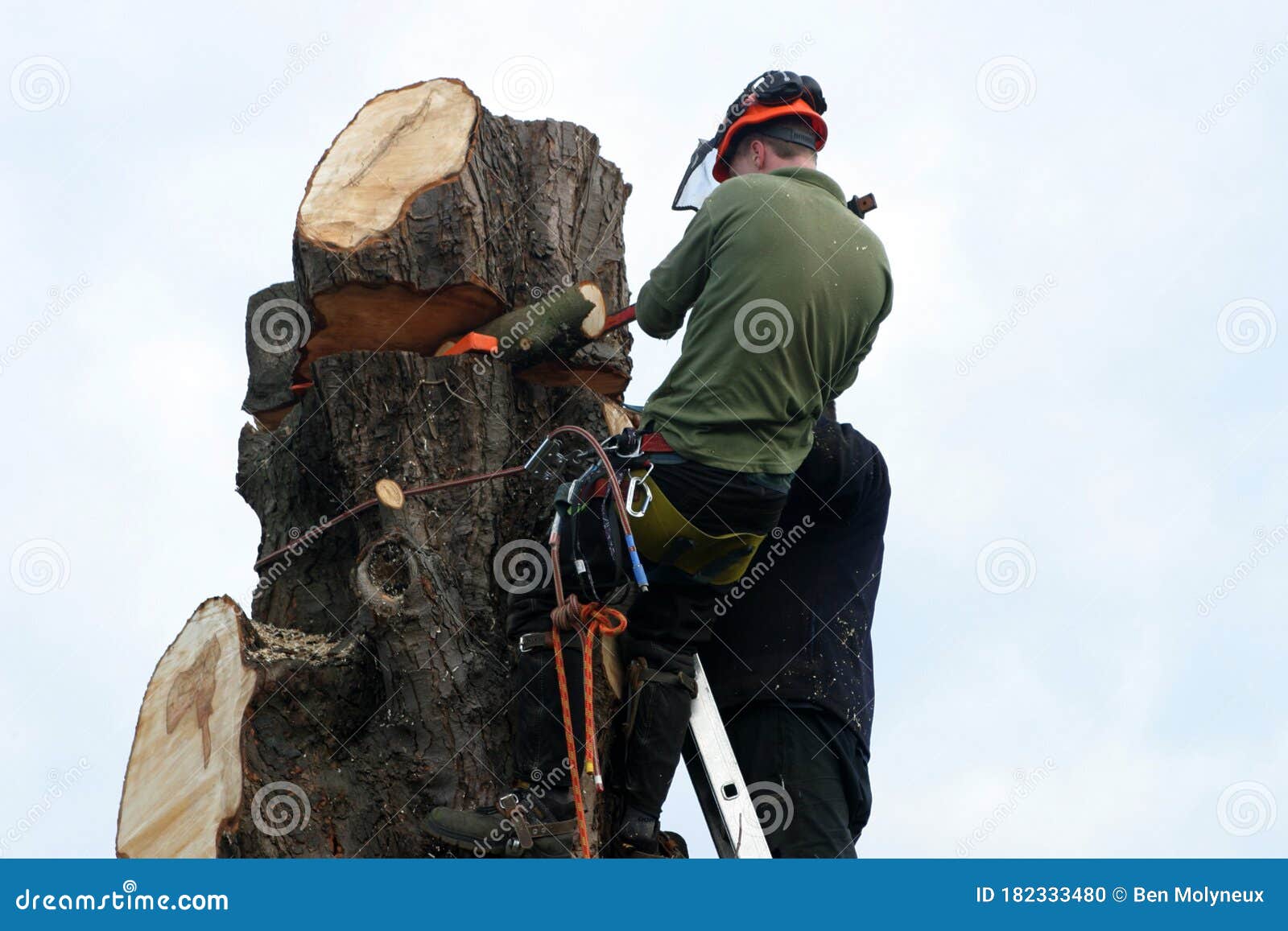 A Tree Surgeon Working on a Tree in Burford, UK Editorial Image - Image ...