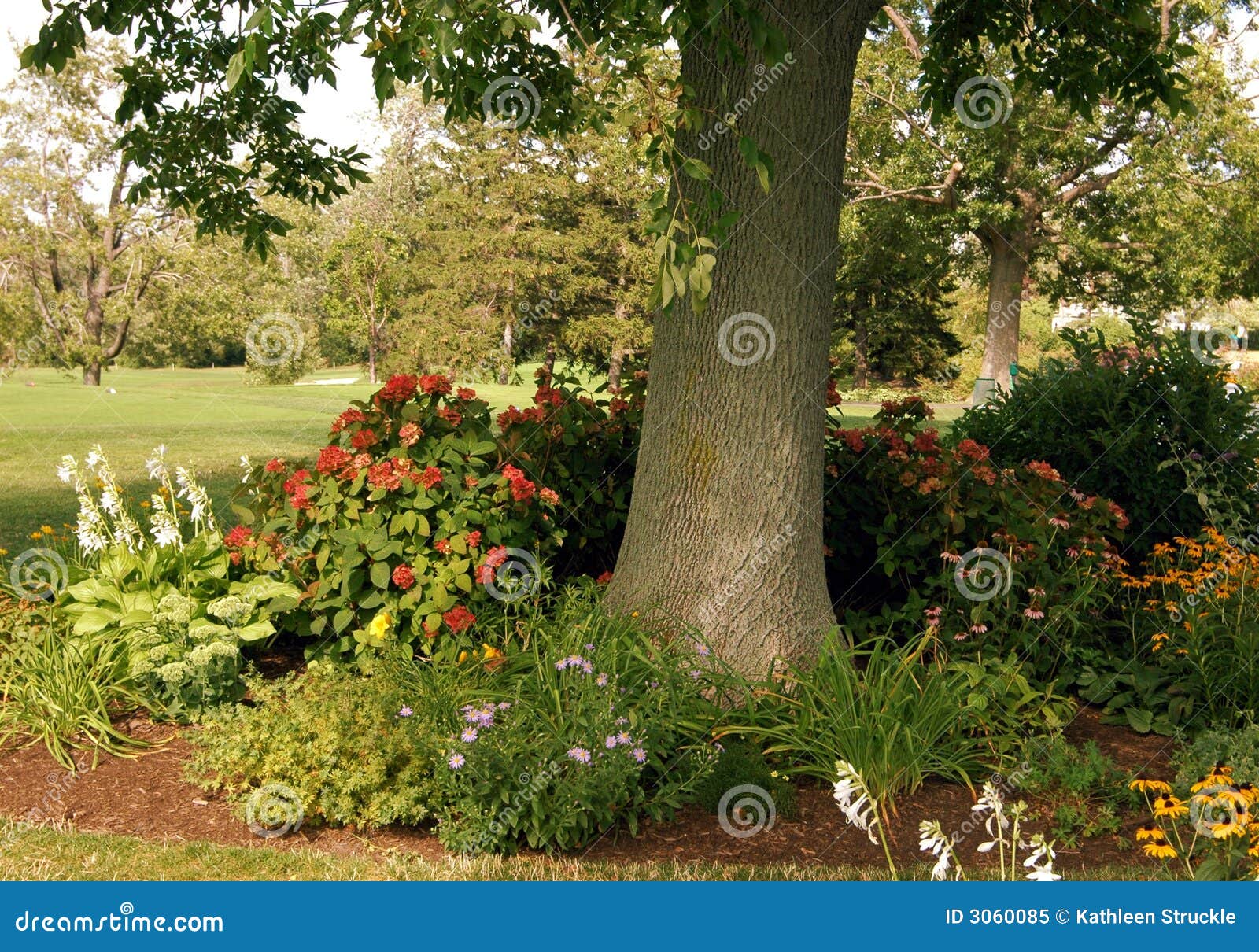 14,040 Tree Flowers Landscaping Stock Photos - Free & Royalty-Free ...