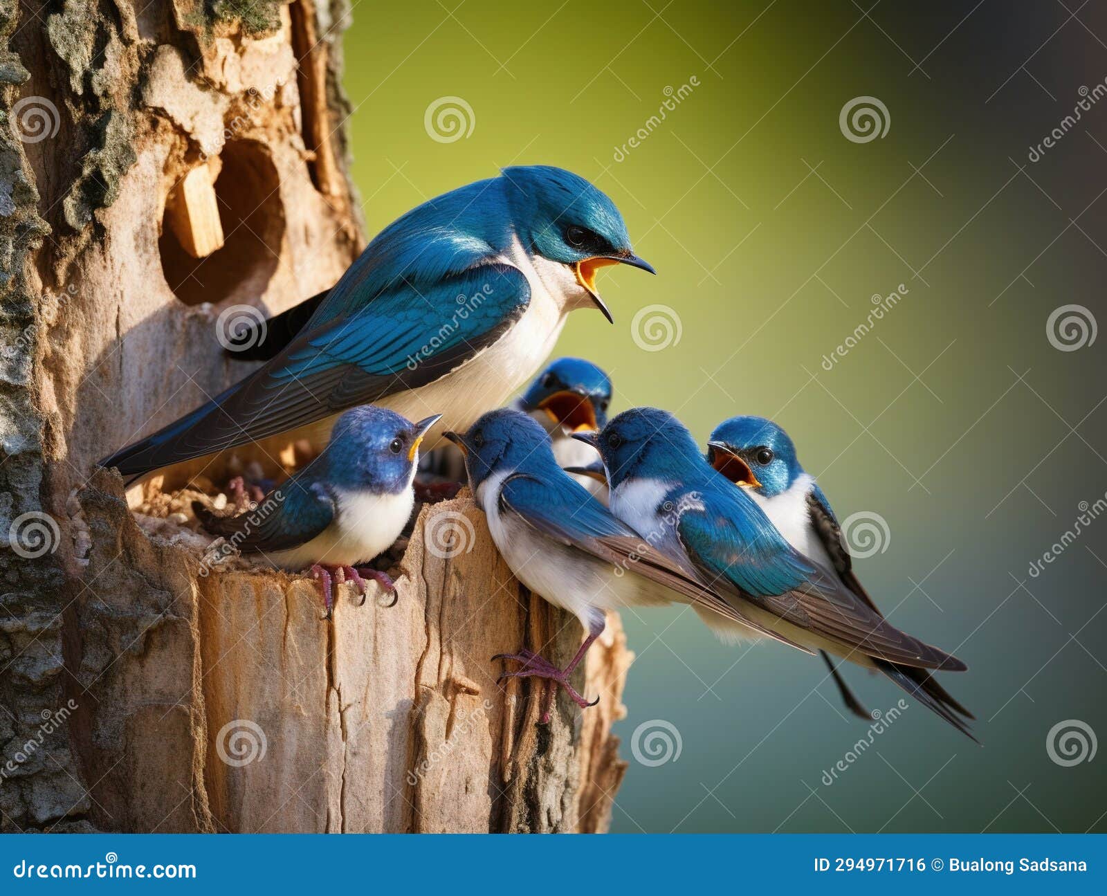 Tree Swallow Feeding Babies Made with Generative AI Illustration Stock ...