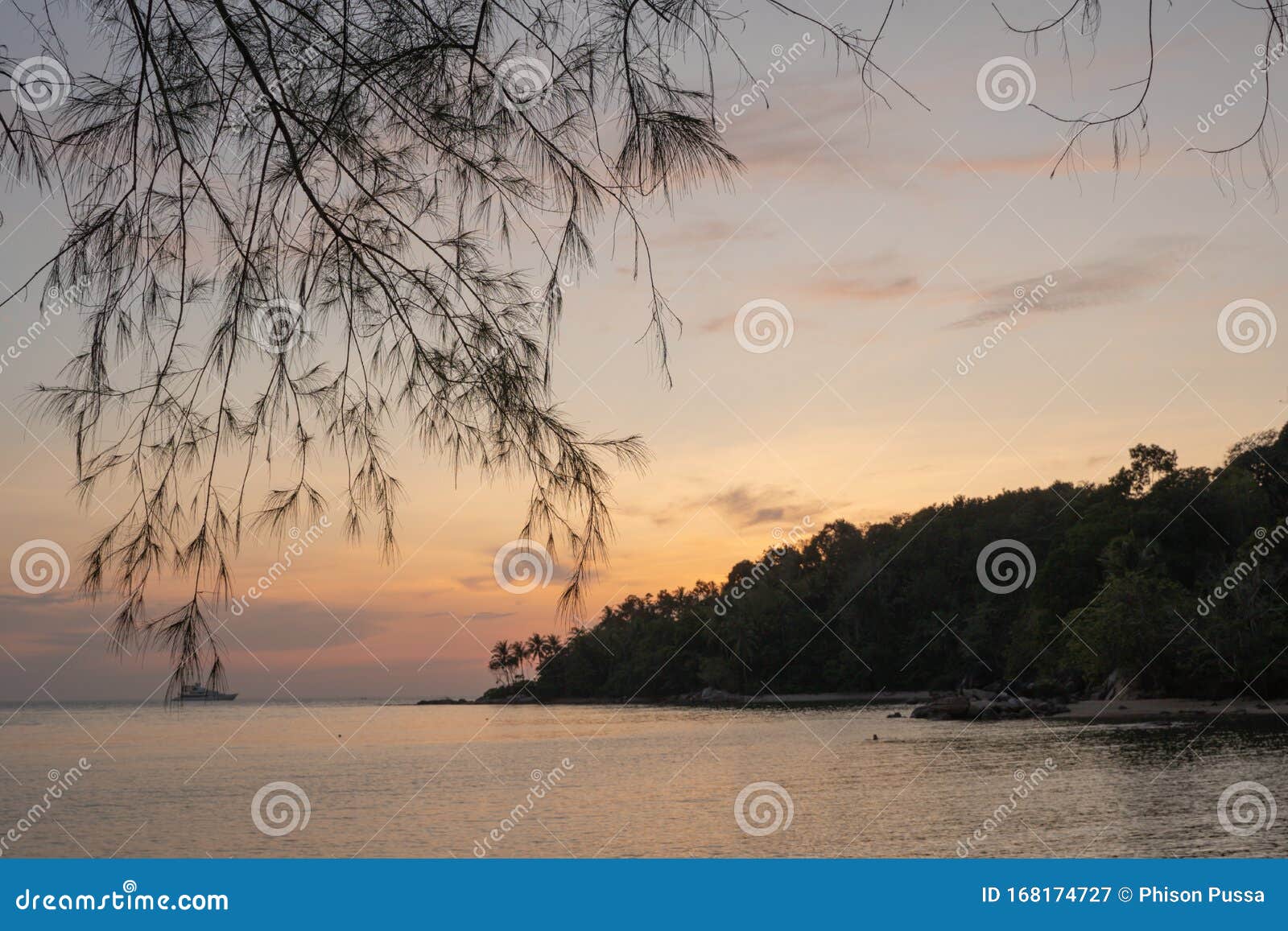 Tree Swaying in the Wind Sky Background Stock Image - Image of cloud ...
