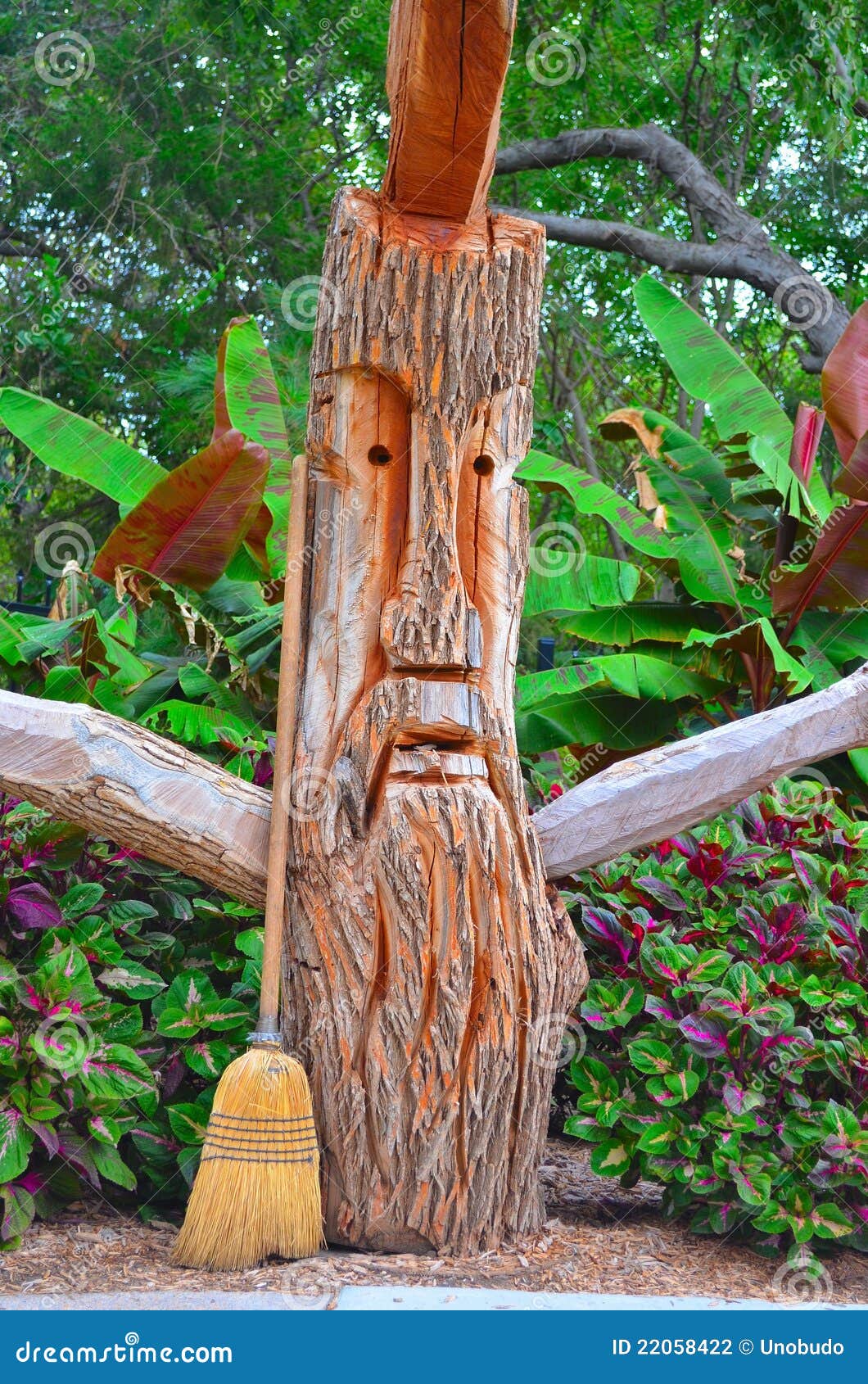 Tree Sweep stock photo. Image of studs, green, carving - 22058422